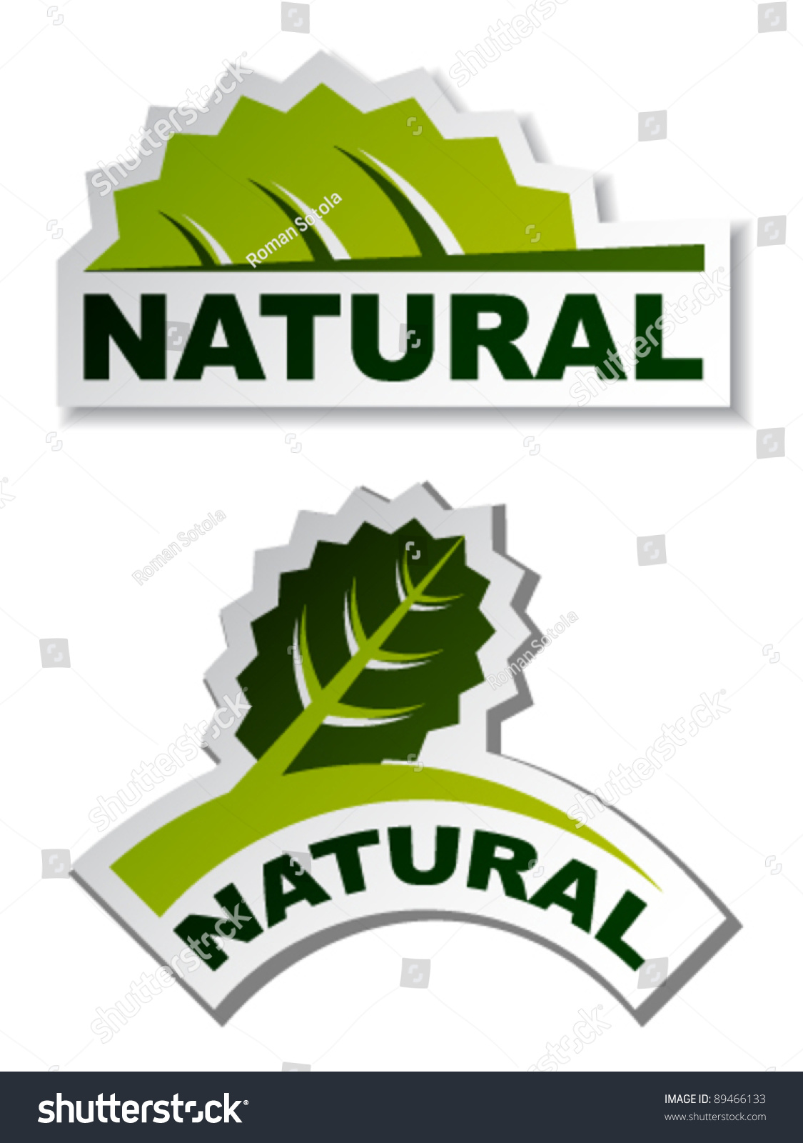 Vector Natural Leaf Stickers Stock Vector (Royalty Free) 89466133 ...