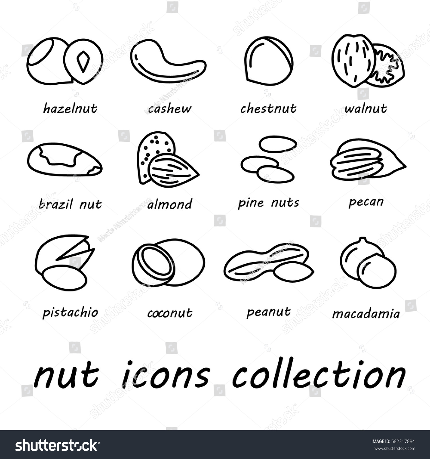 Vector Nut Icons Collection Stock Vector 582317884 - Shutterstock
