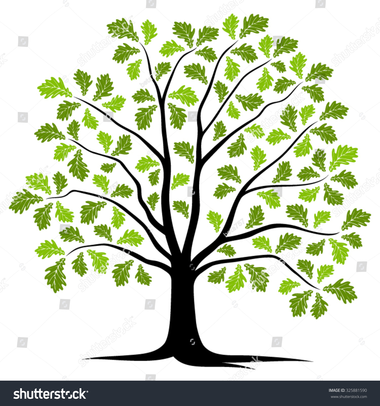 Vector Oak Tree Isolated On White: เวกเตอร์สต็อก (ปลอดค่าลิขสิทธิ์ ...