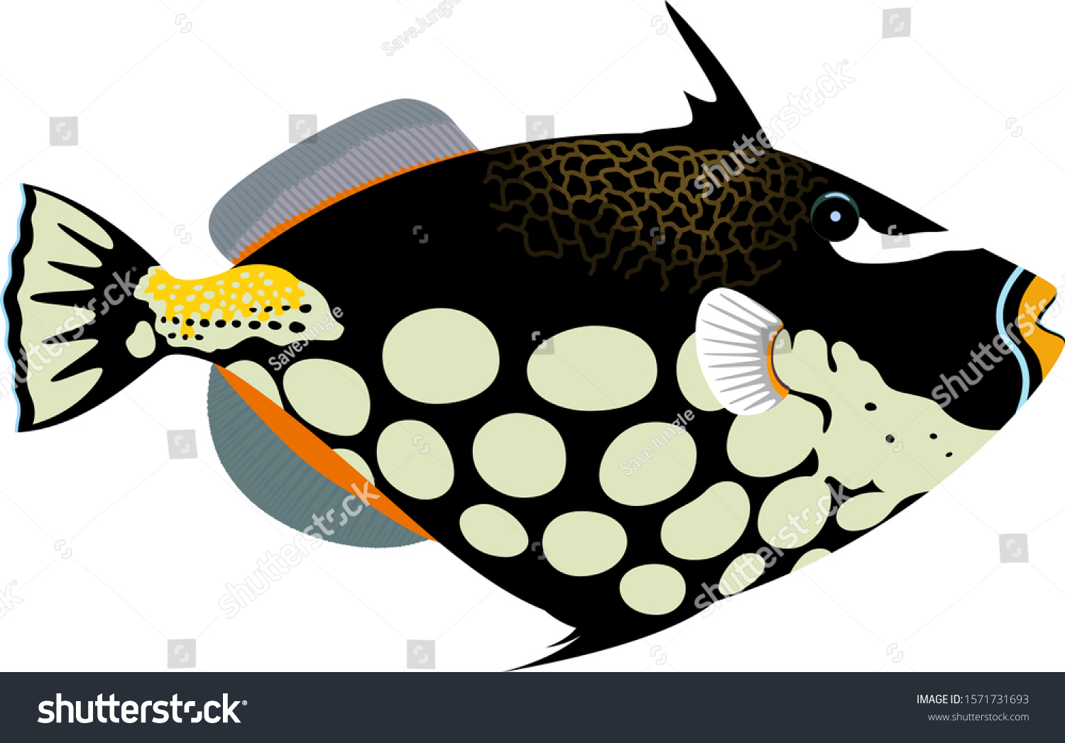 Vector Pacific Clown Triggerfish Illustration Stock Vector (Royalty ...