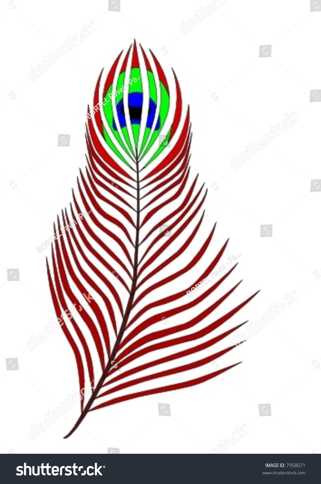 Vector Peacock Feather Eye On White Stock Vector (Royalty Free) 7958071 ...
