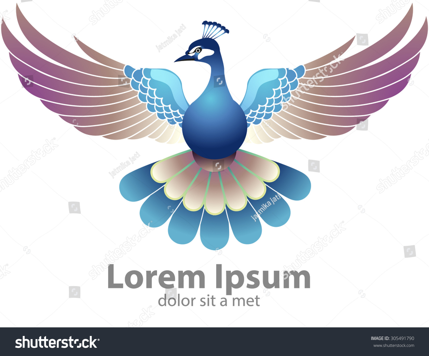 Vector Peacocks Flying Flapping Wings Stock Vector (Royalty Free) 305491790