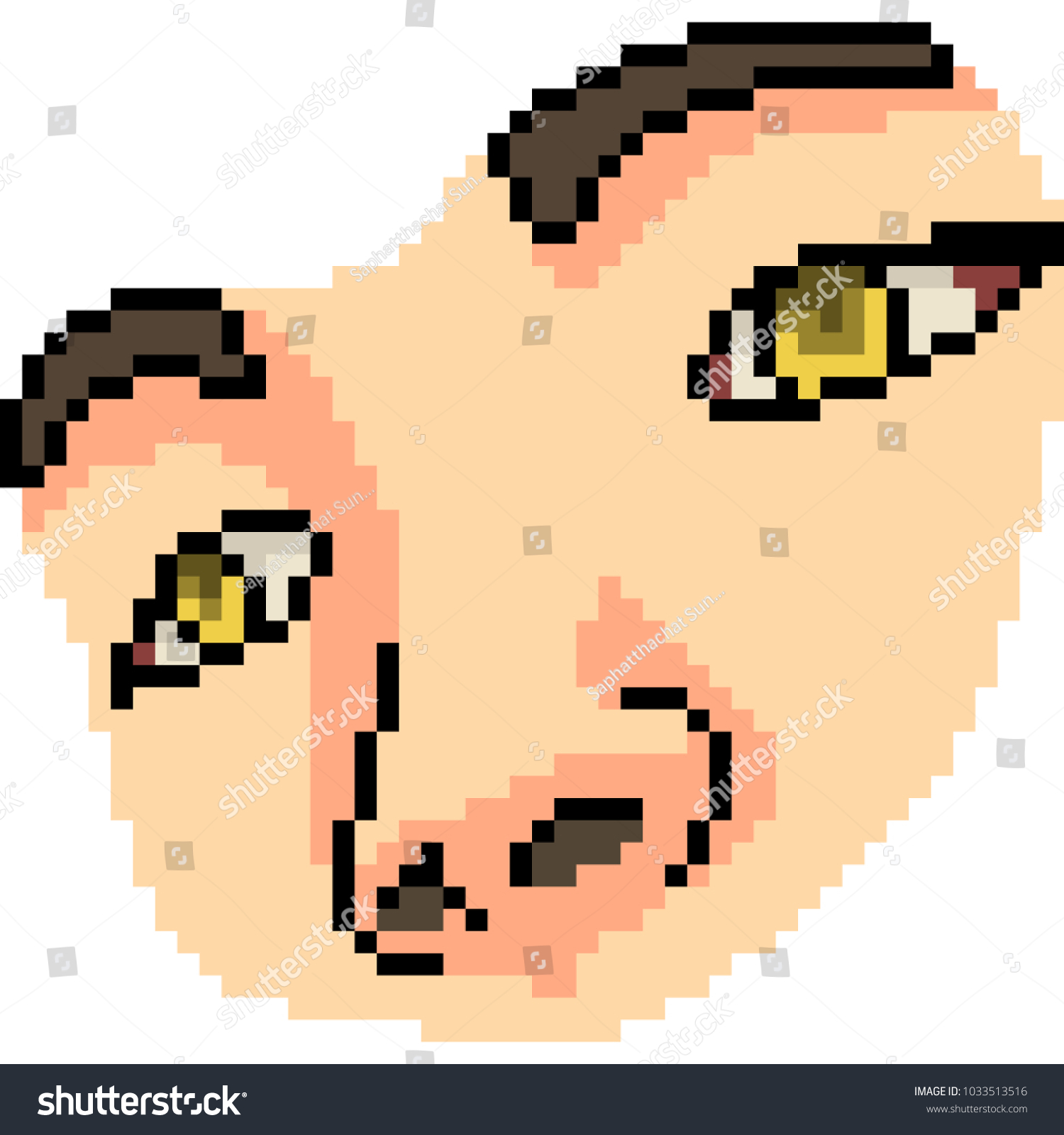 Vector Pixel Art Face Isolated Cartoon: vetor stock (livre de direitos ...