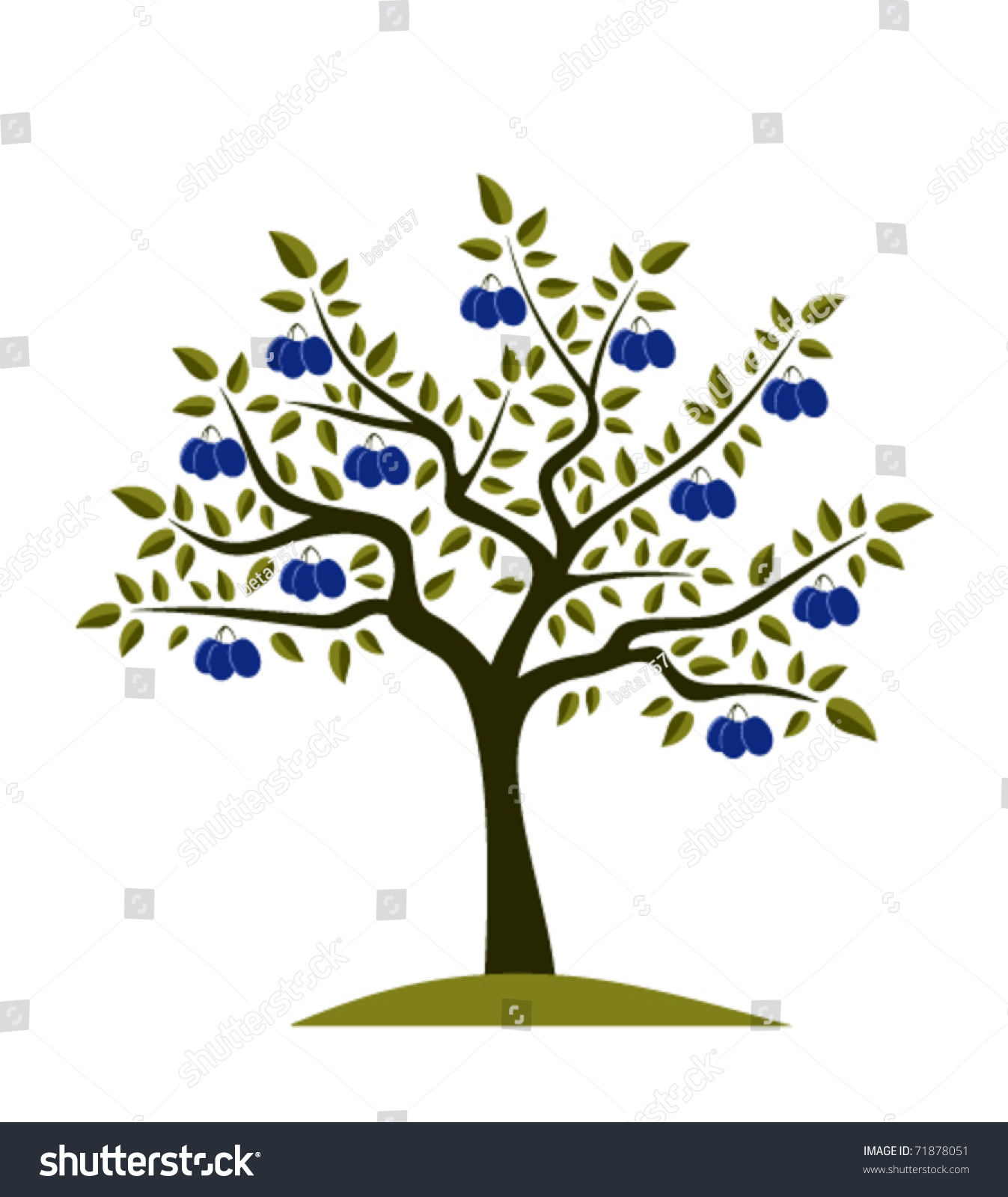Vector Plum Tree On White Background Stock Vector (Royalty Free) 71878051