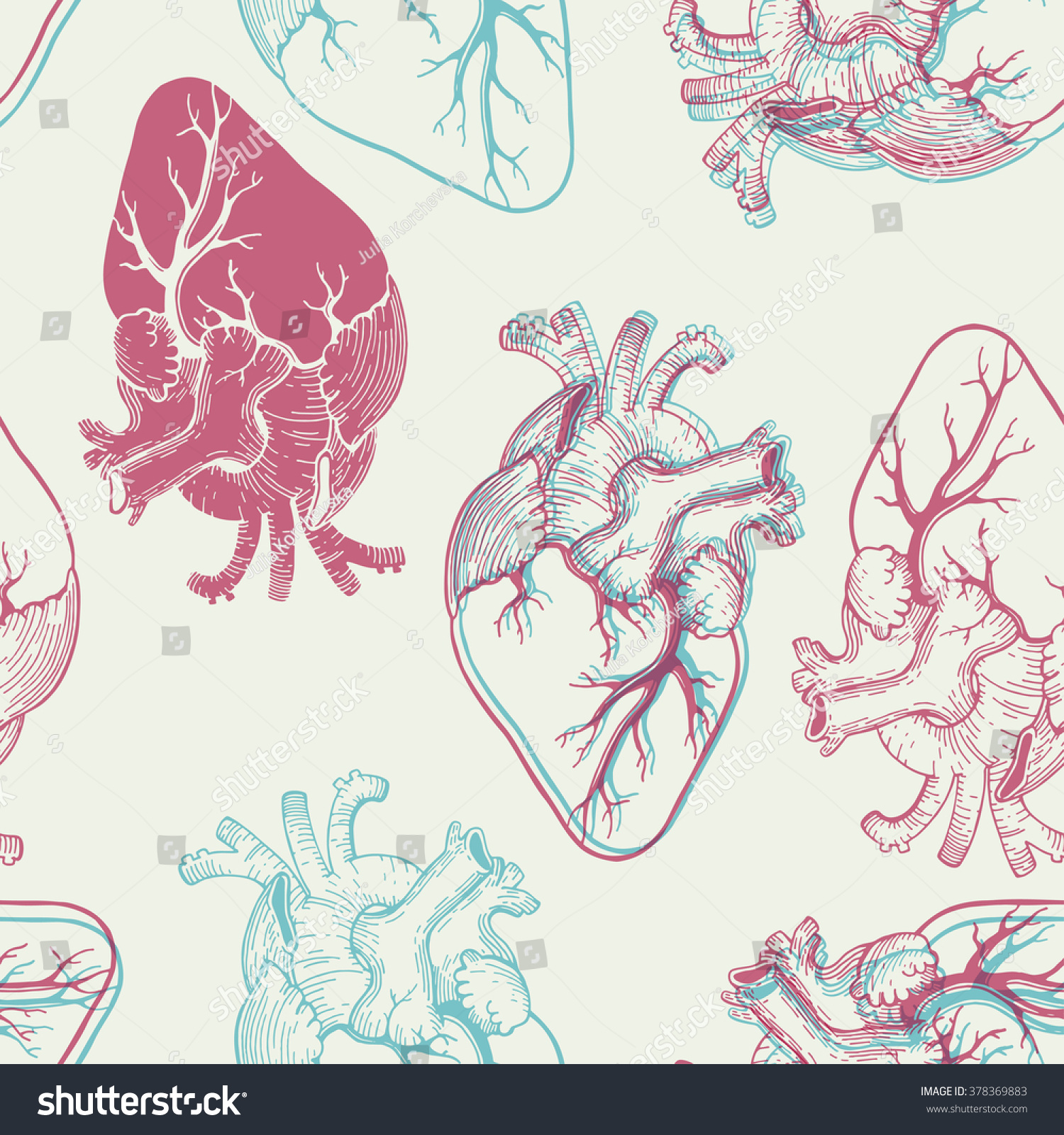 Vector Realistic Anatomical Heart Anaglyph 3d Stock Vector (Royalty ...