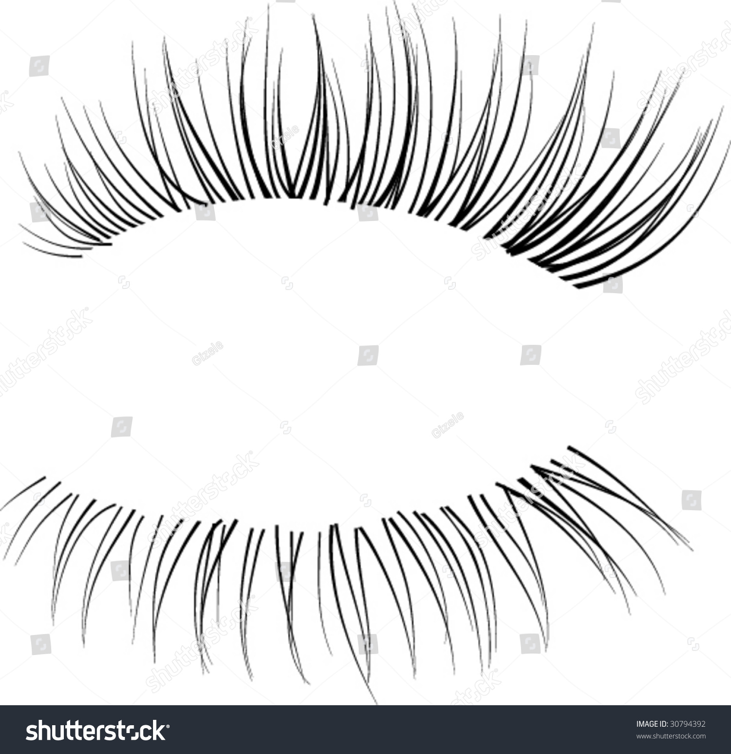 Vector Realistic Eyelash Texture Stock Vector 30794392 - Shutterstock