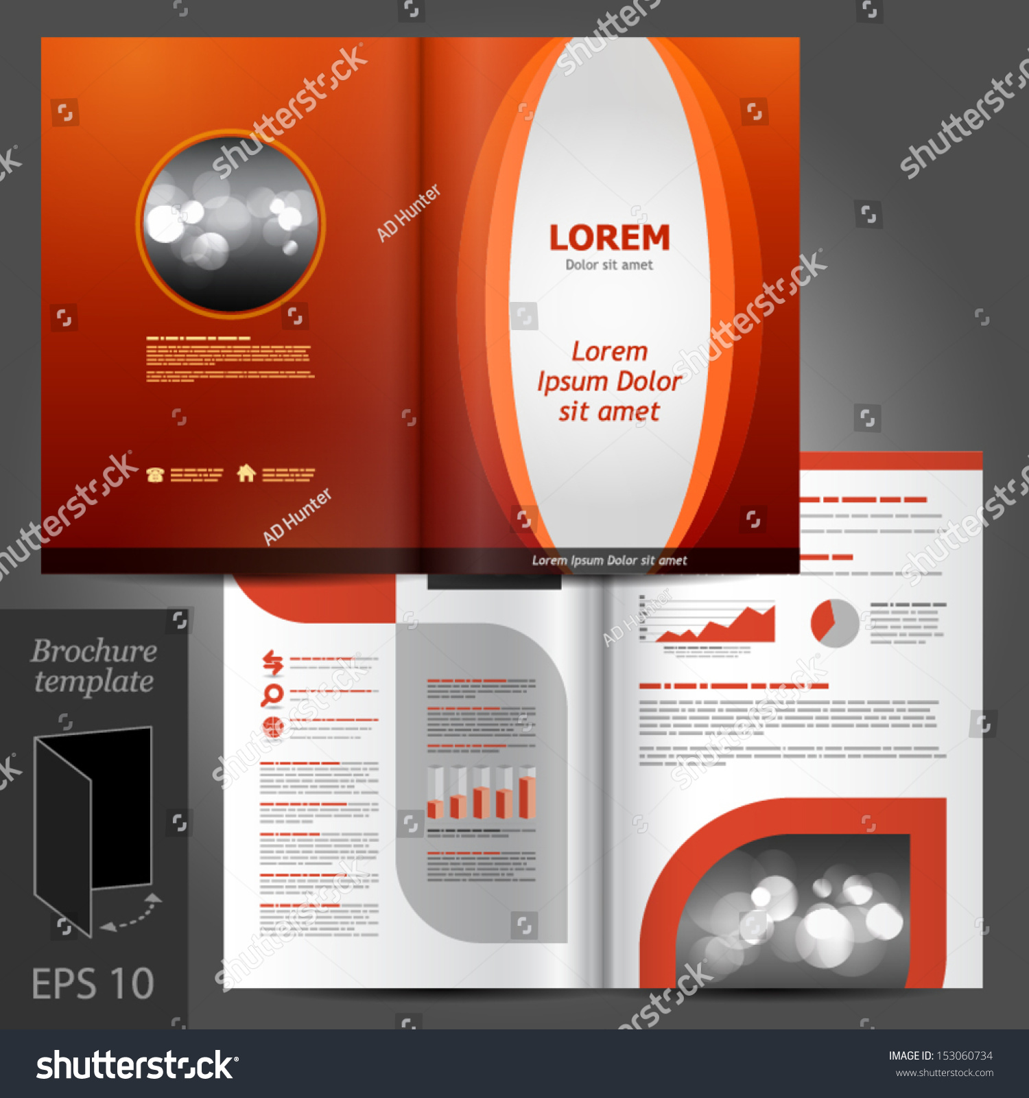 Vector Red Brochure Template Design Color Stock Vector (Royalty Free ...