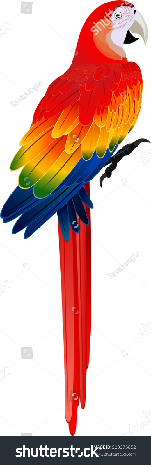 Vector Red Macaw Ara Parrot Stock Vector (Royalty Free) 523375852 ...