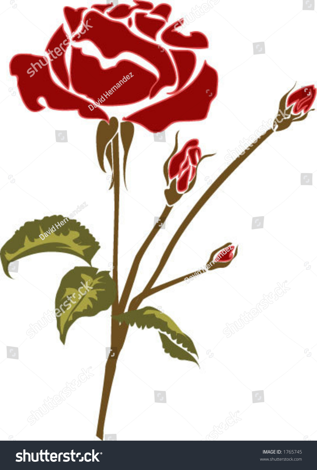 Vector Red Rose Flower Bush Stock Vector (Royalty Free) 1765745