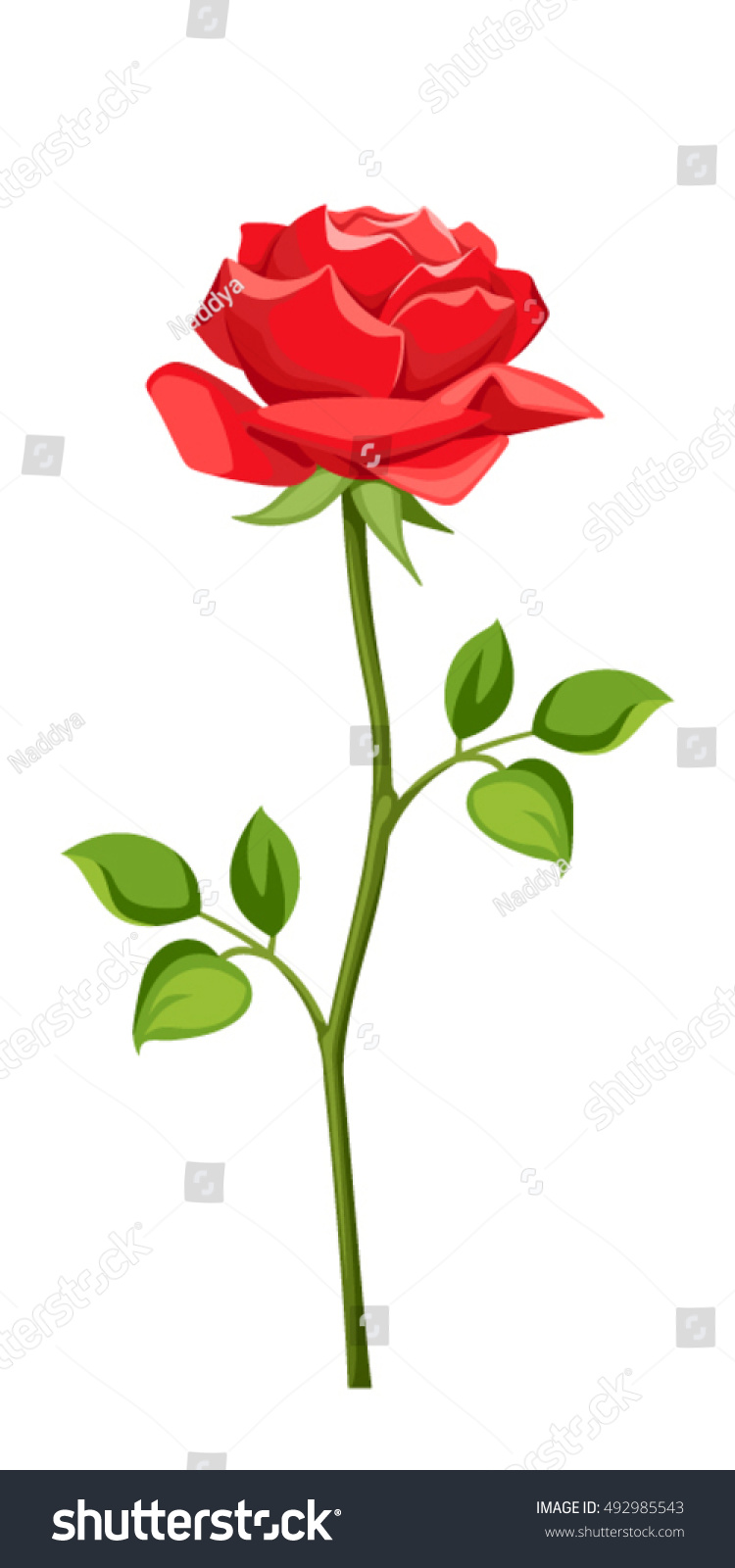 Vector Red Rose Stem Isolated On Stock Vector (Royalty Free) 492985543