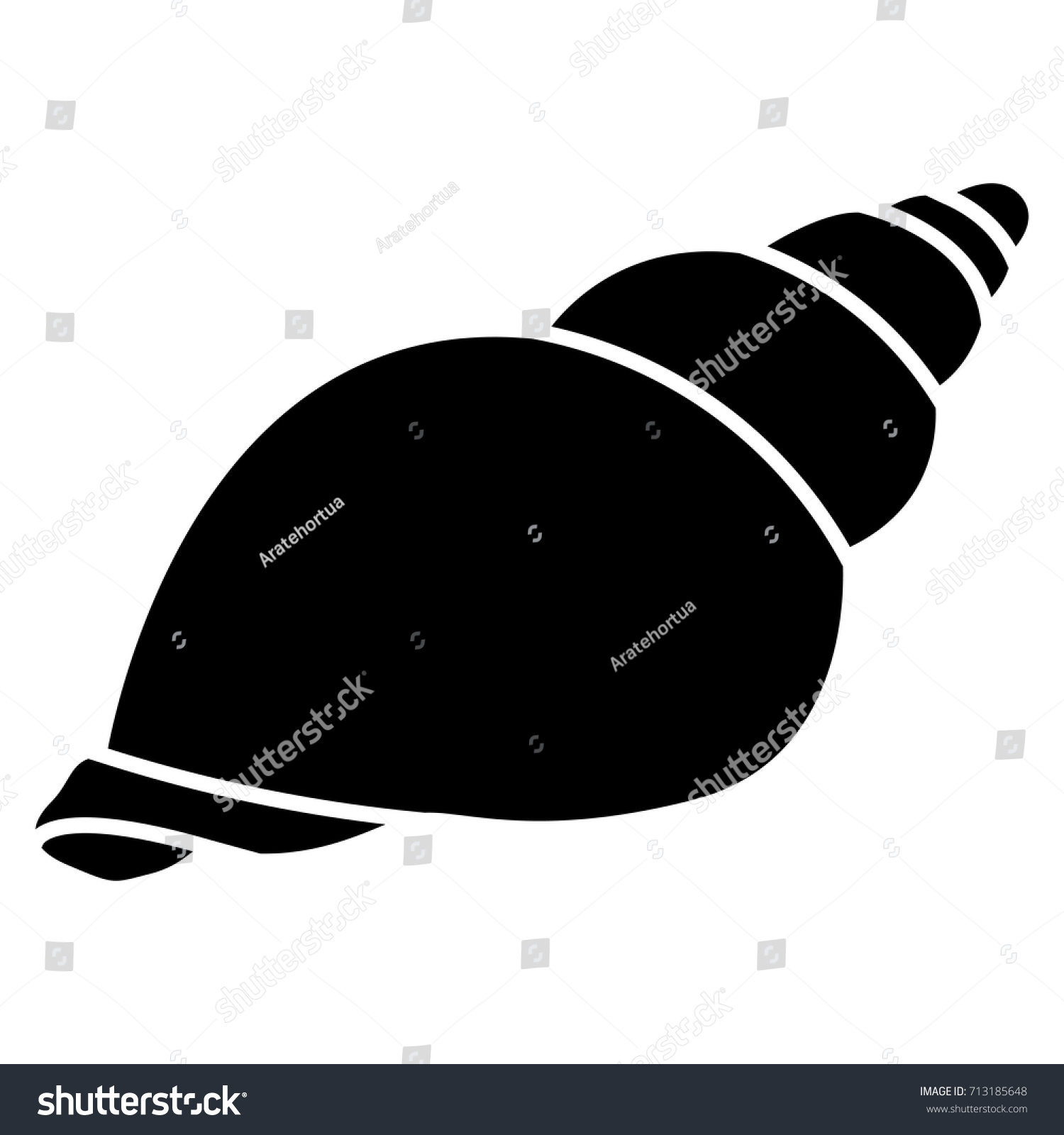 Vector Sea Shell Isolated On White Stock Vector (Royalty Free) 713185648