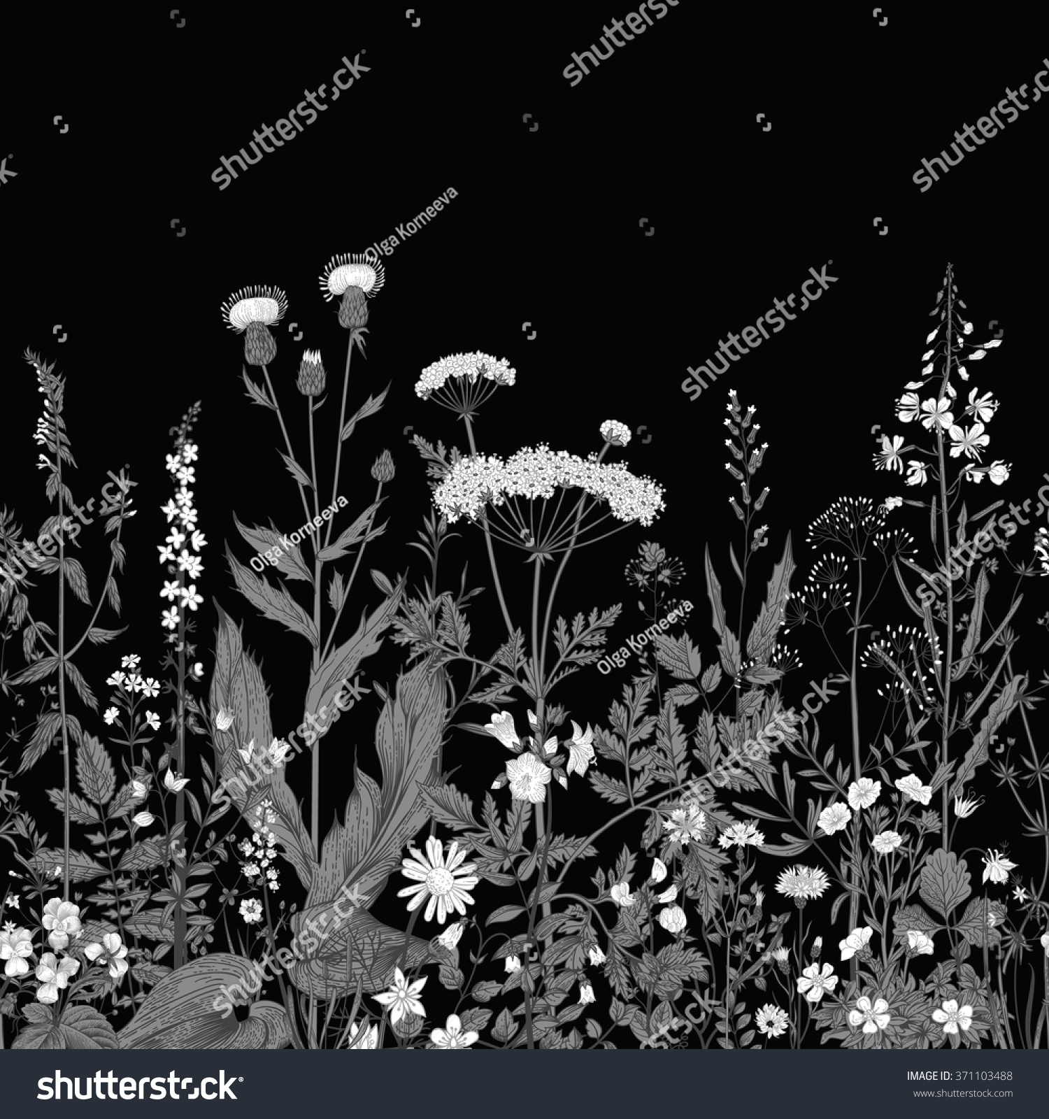 Vector Seamless Floral Border Herbs Wild Stock Vector (Royalty Free ... Vector Seamless Floral Border Herbs Wild Stock Vector (Royalty Free ...