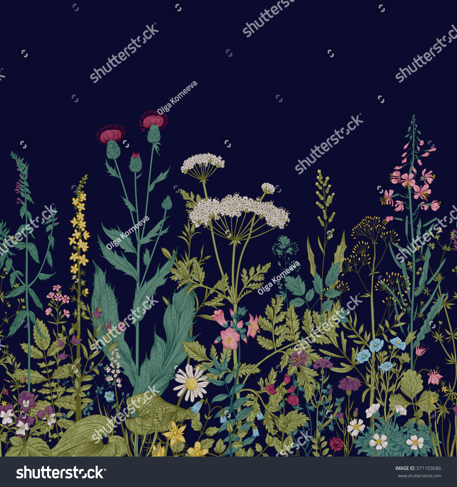 Vector Seamless Floral Border Herbs Wild: Stock-Vektorgrafik ... Vector Seamless Floral Border Herbs Wild: Stock-Vektorgrafik ...