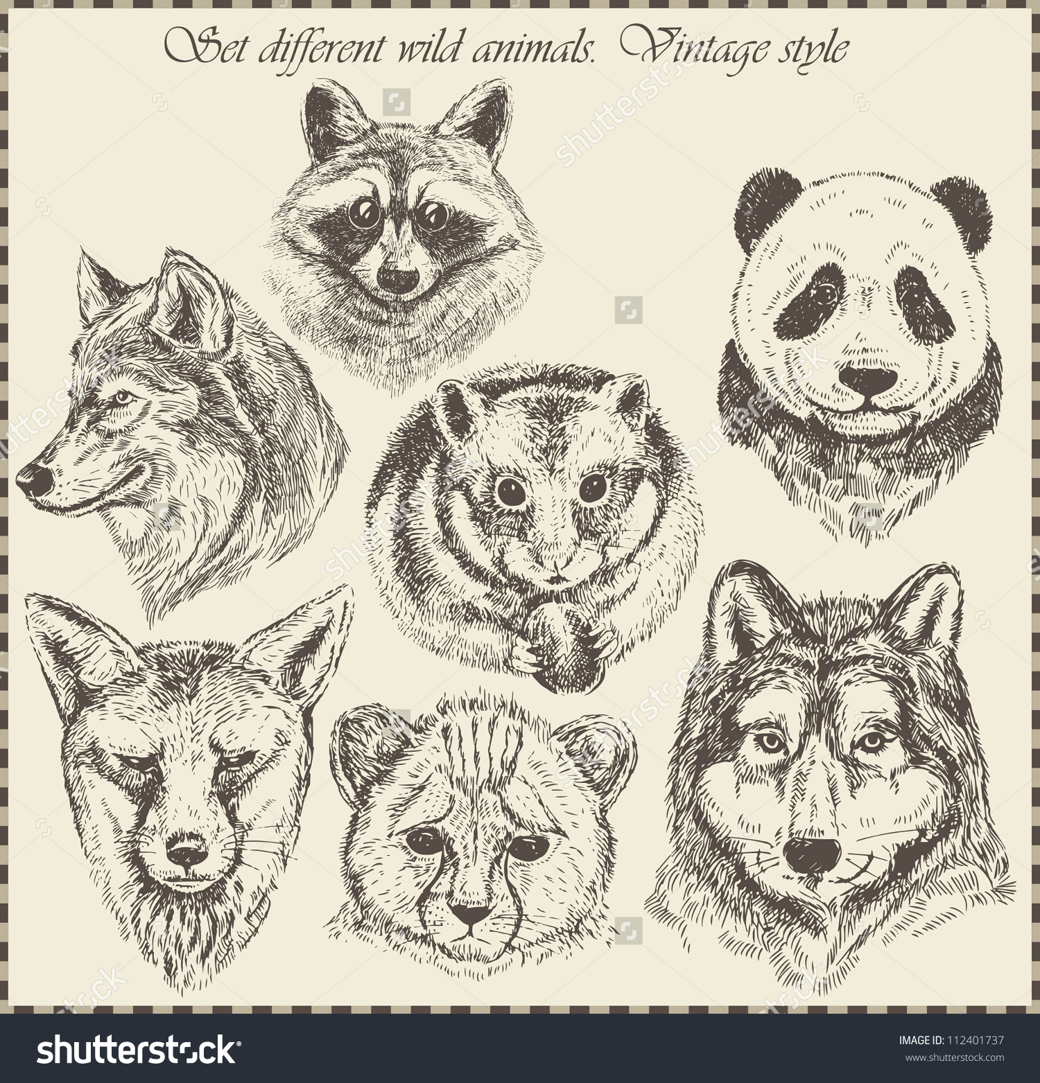 Vector Set Different Wild Animals Various Stock Vector (Royalty Free ...