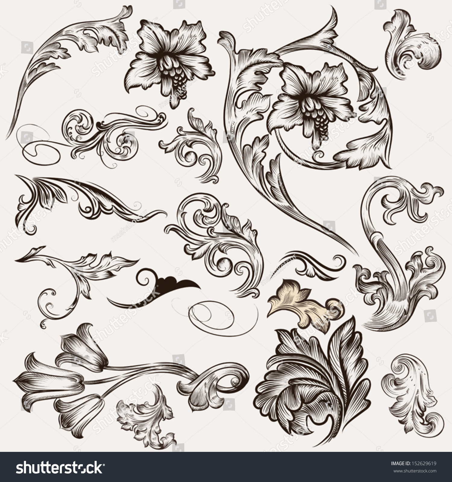 Vector Set Calligraphic Elements Design Calligraphic Stock Vector ... Vector Set Calligraphic Elements Design Calligraphic Stock Vector ...