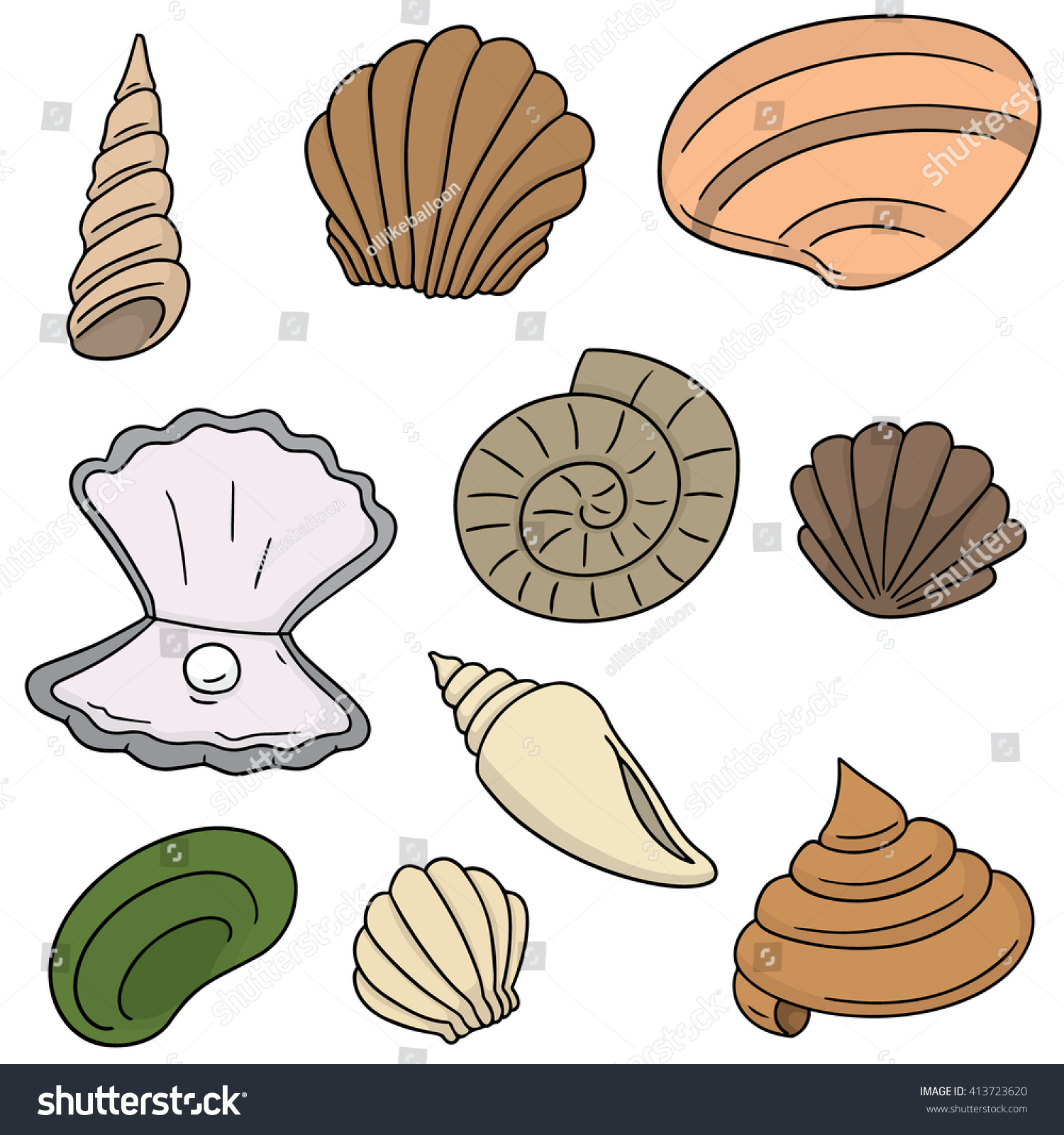 Vector Set Of Sea Shell - 413723620 : Shutterstock