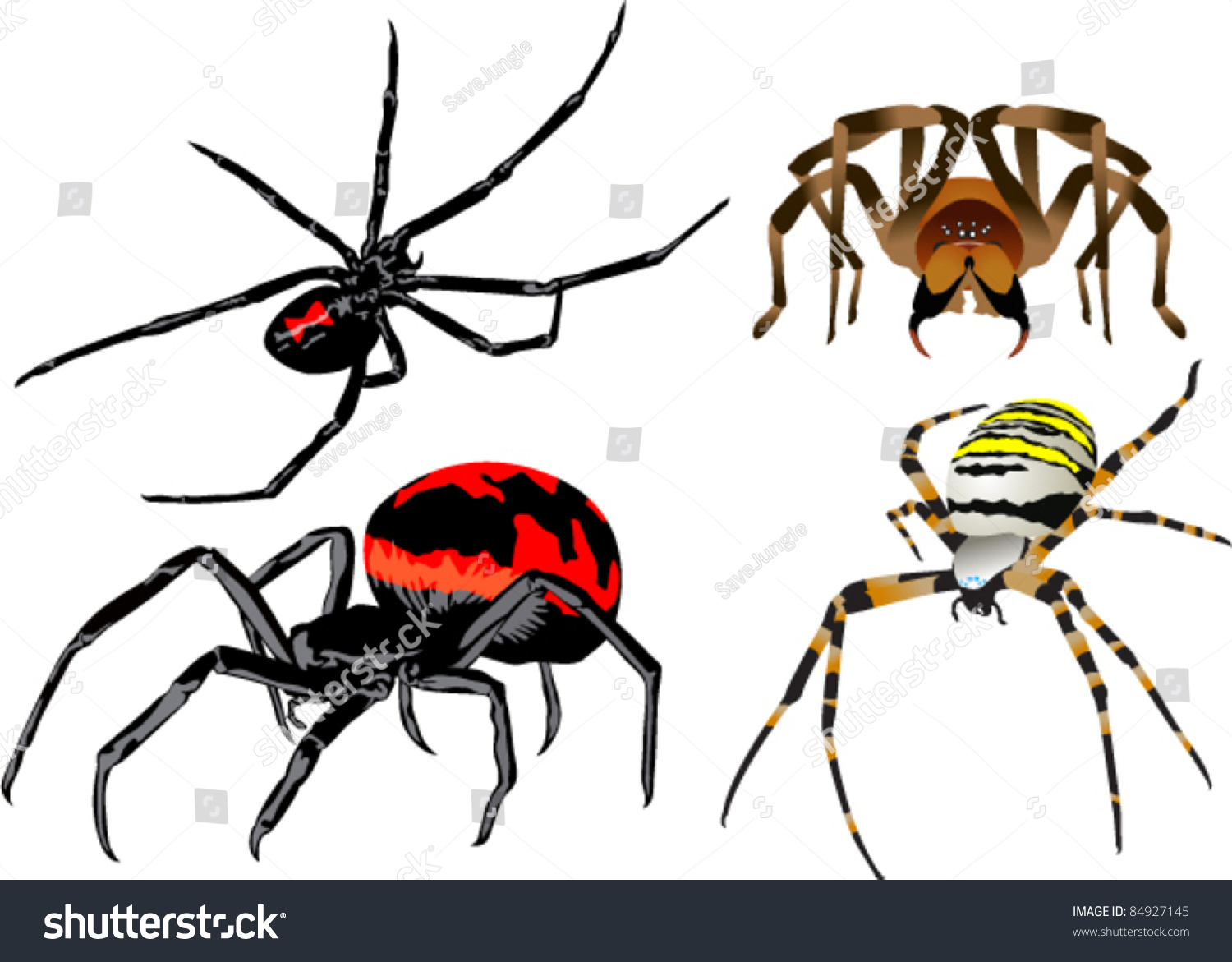 Vector Set Spiders Stock Vector (Royalty Free) 84927145