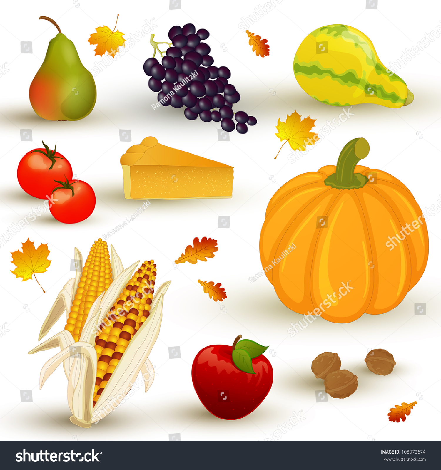 Vector Set Traditional Thanksgiving Elements Stock Vector (Royalty Free ...