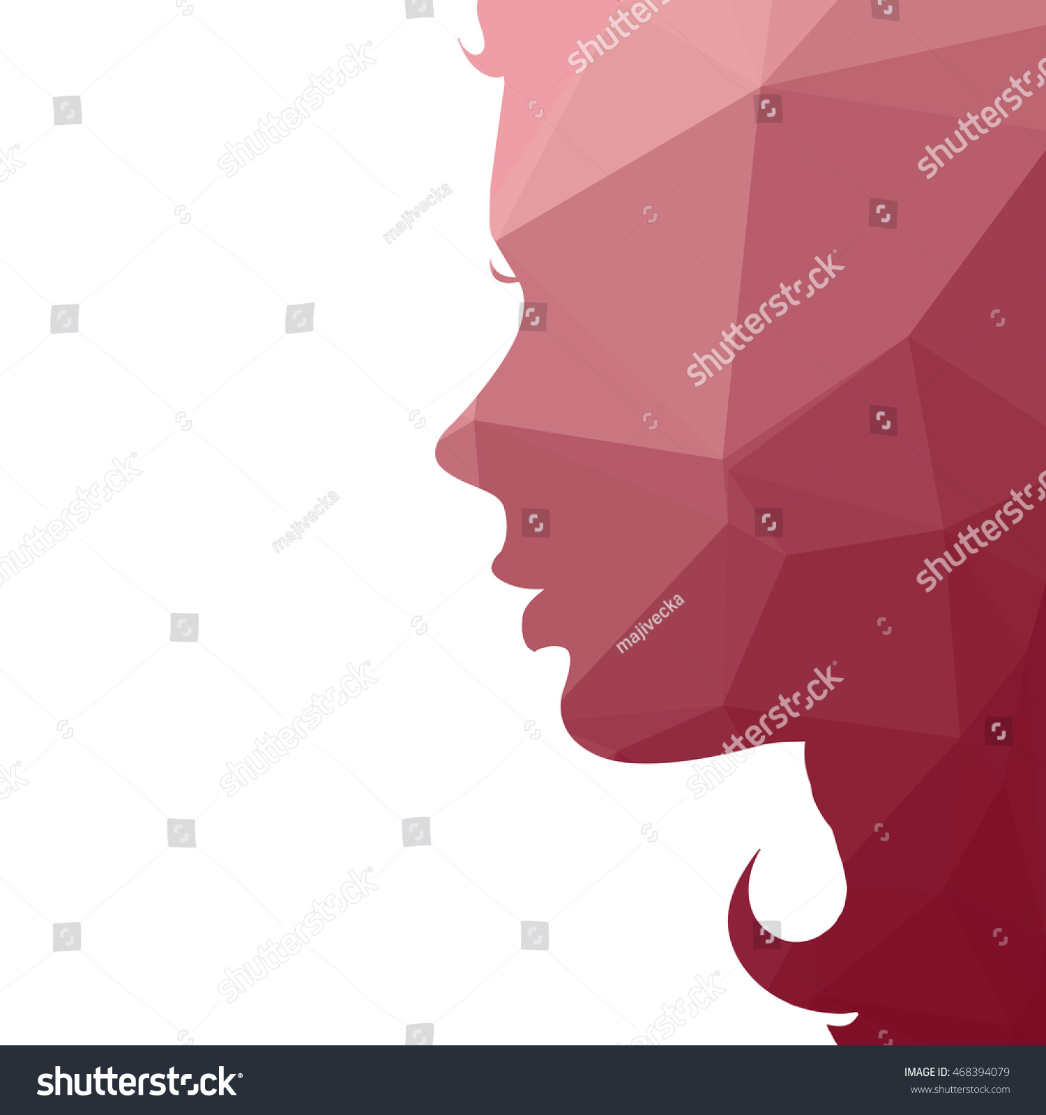 Vector Silhouette Low Poly Style On Stock Vector (Royalty Free ...