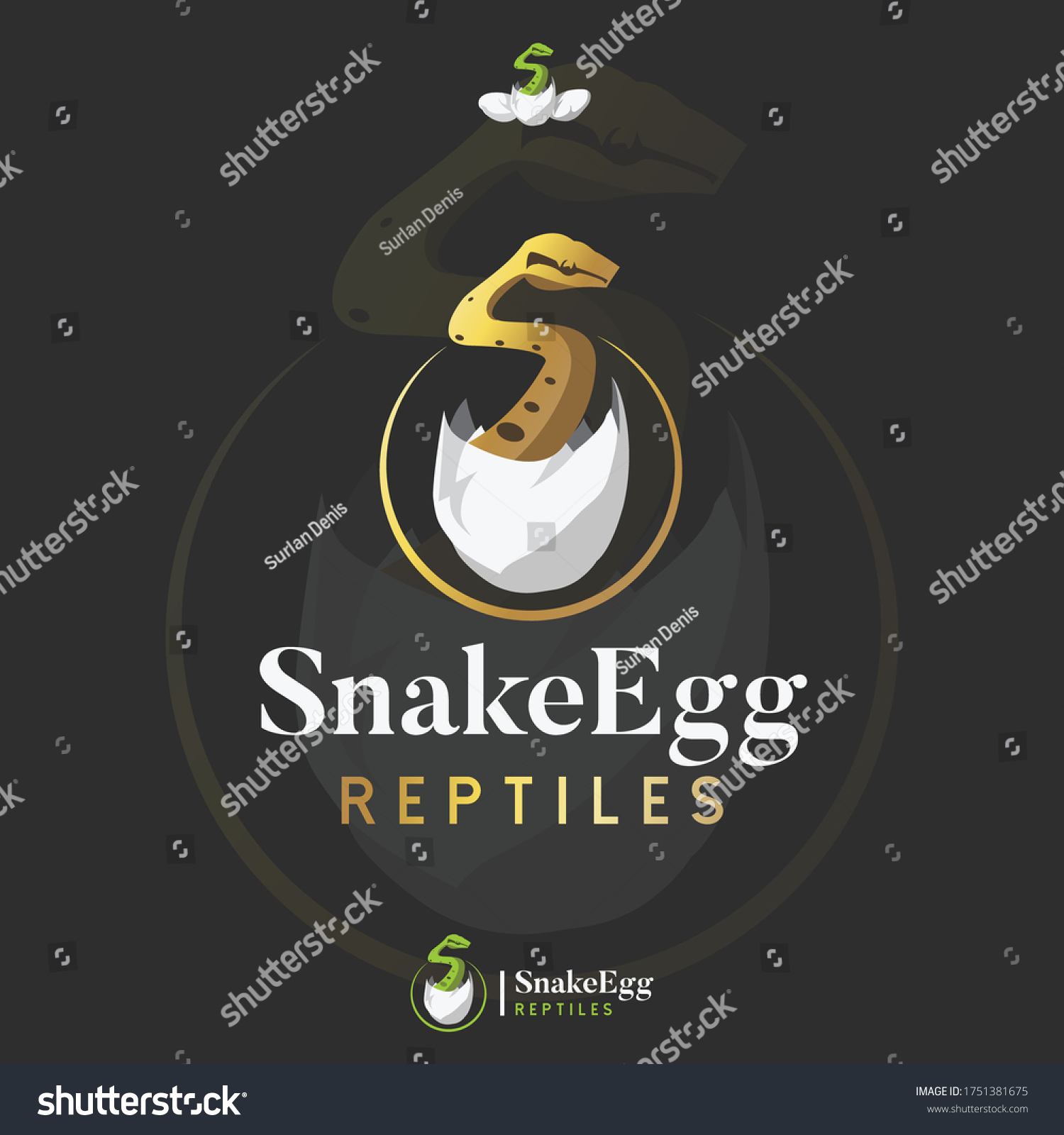 Vector Snake Egg Reptile Breeder Logo Stock Vector (Royalty Free ...
