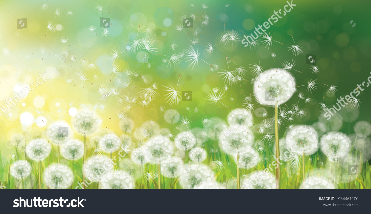 35,614 Forest dandelion Images, Stock Photos & Vectors | Shutterstock