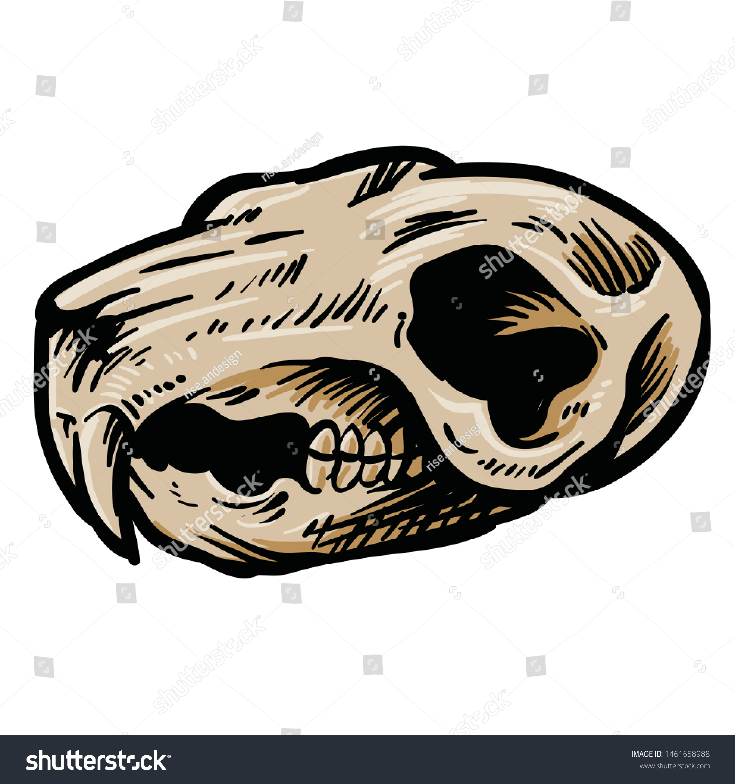 275 Squirrel skull Images, Stock Photos & Vectors | Shutterstock