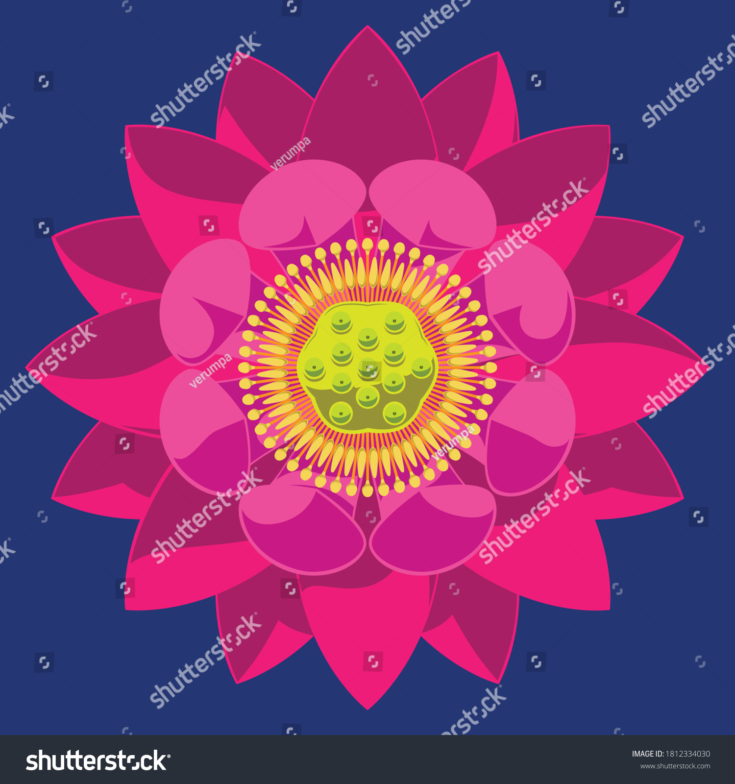 Vector Top View Lotus Flower Concept Stock Vector (Royalty Free ...