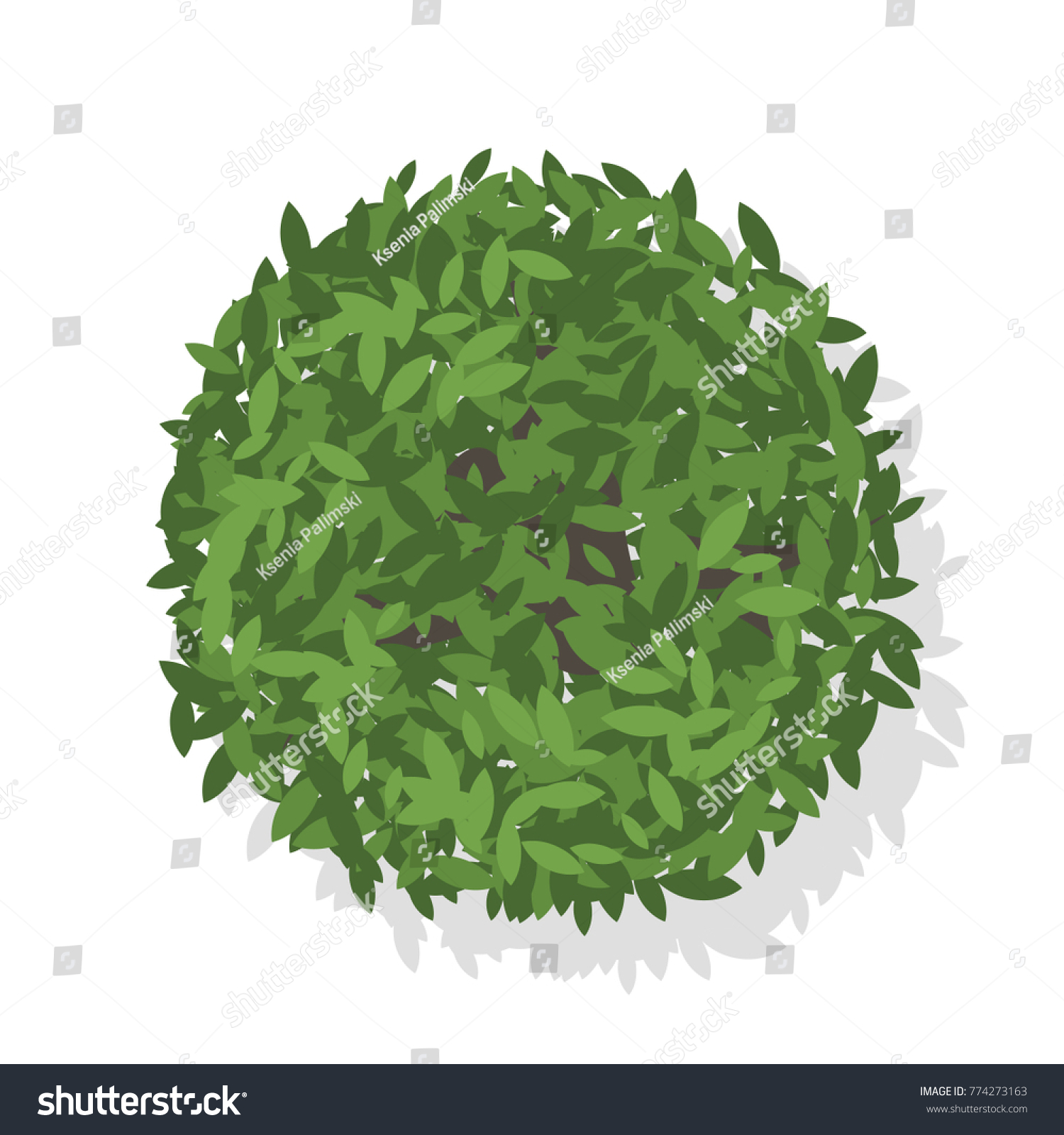 Vector Tree Top View Isolated On: เวกเตอร์สต็อก (ปลอดค่าลิขสิทธิ์ ...