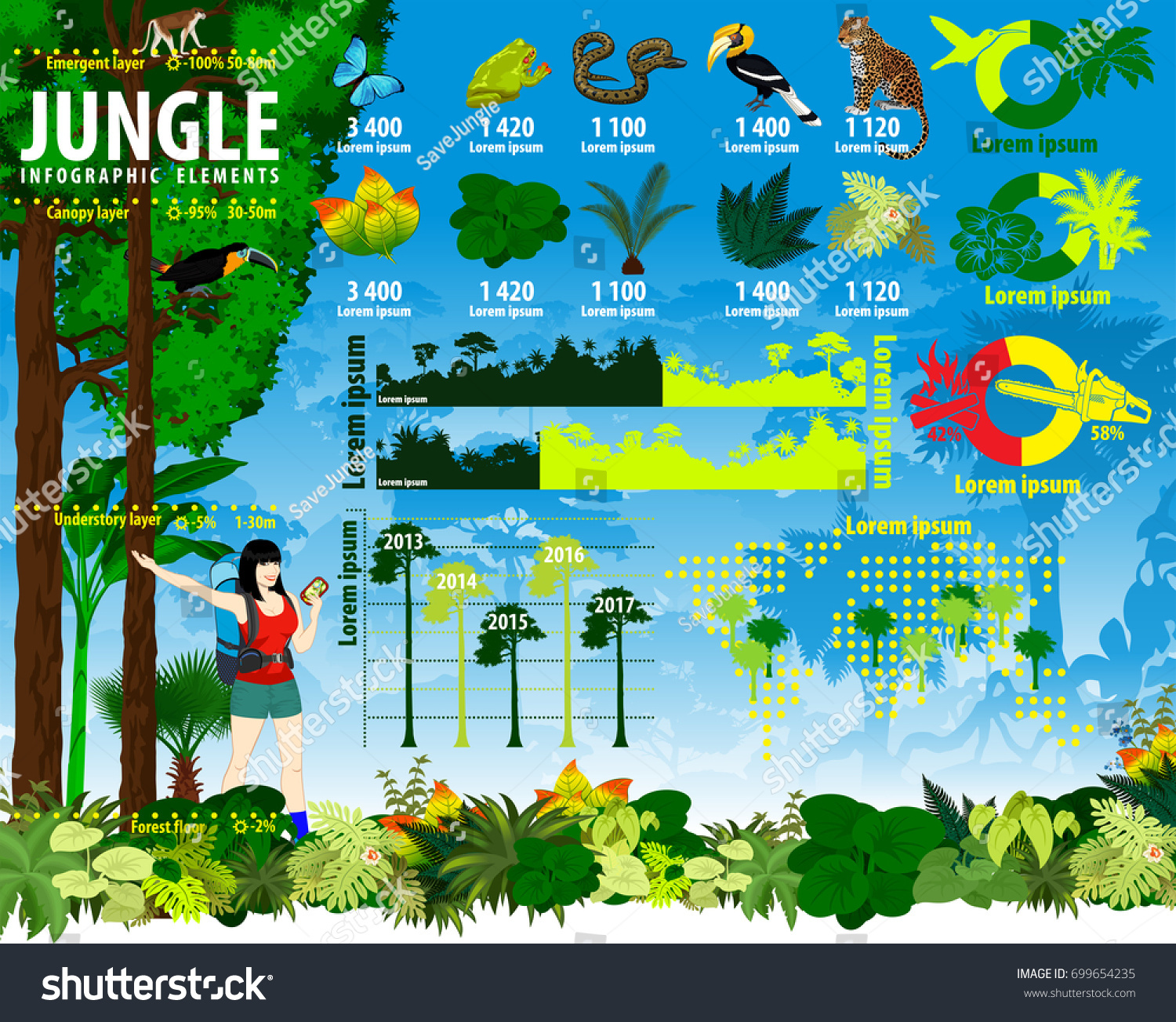 Vector Tropical Rainforest Jungle Infographics Elements Stock Vector ...
