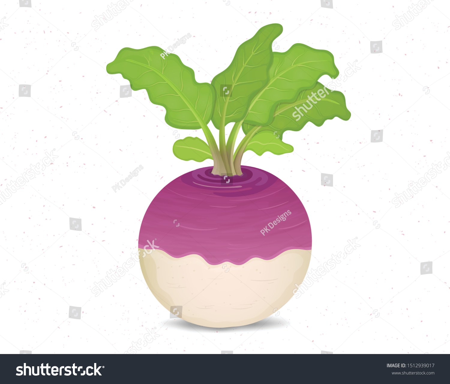 9,769 Turnips vector Images, Stock Photos & Vectors | Shutterstock