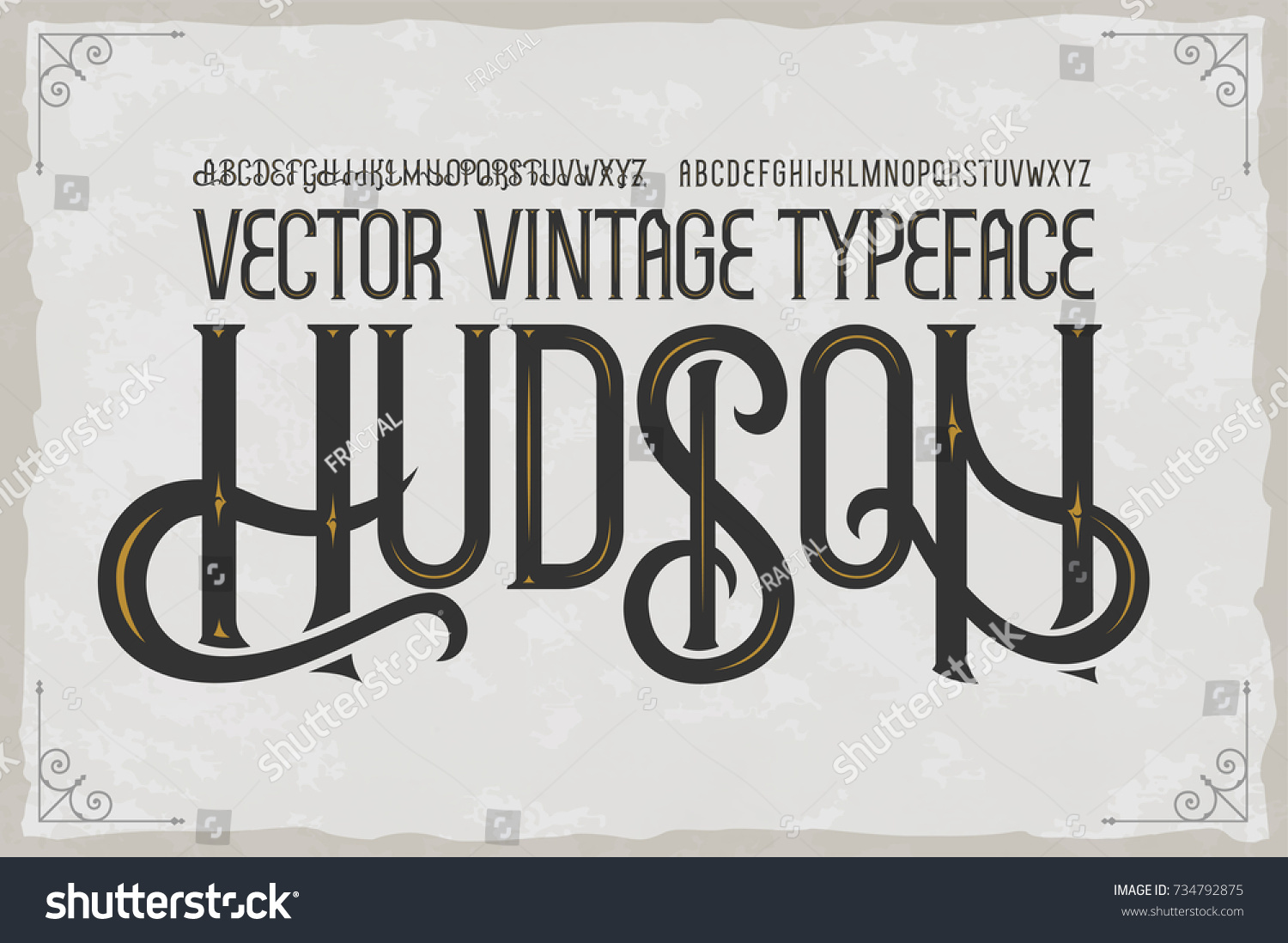 Vector Vintage Typeface Hudson Vector Font Stock Vector (Royalty Free ...