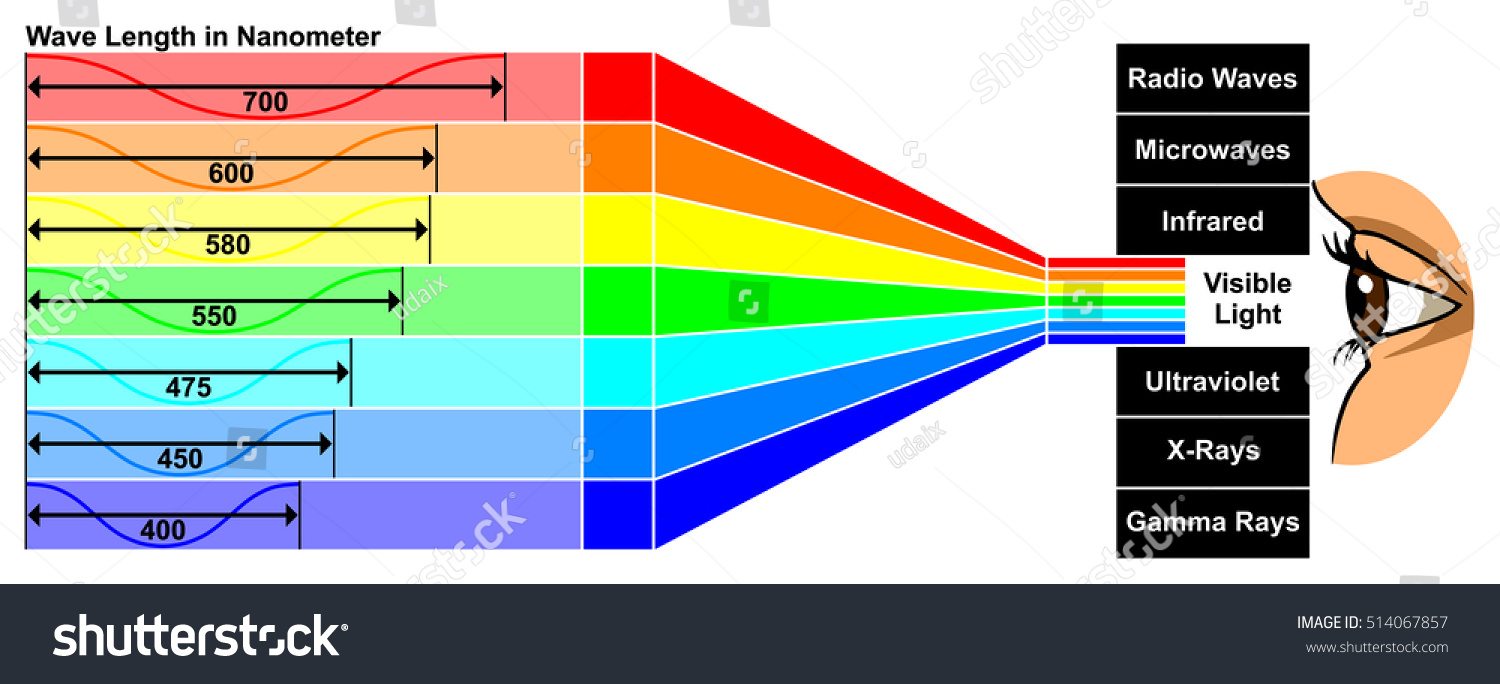 Vector Visible Light Wave Length Difference Stock Vector 514067857 ...
