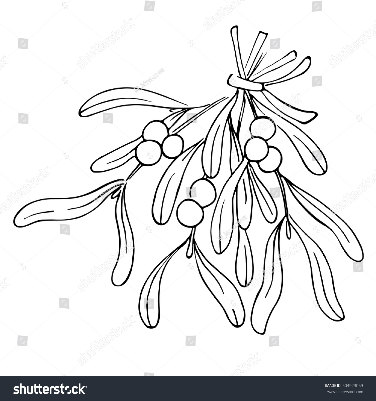Vector White Black Simple Mistletoe Sketch Stock Vector (Royalty Free ...