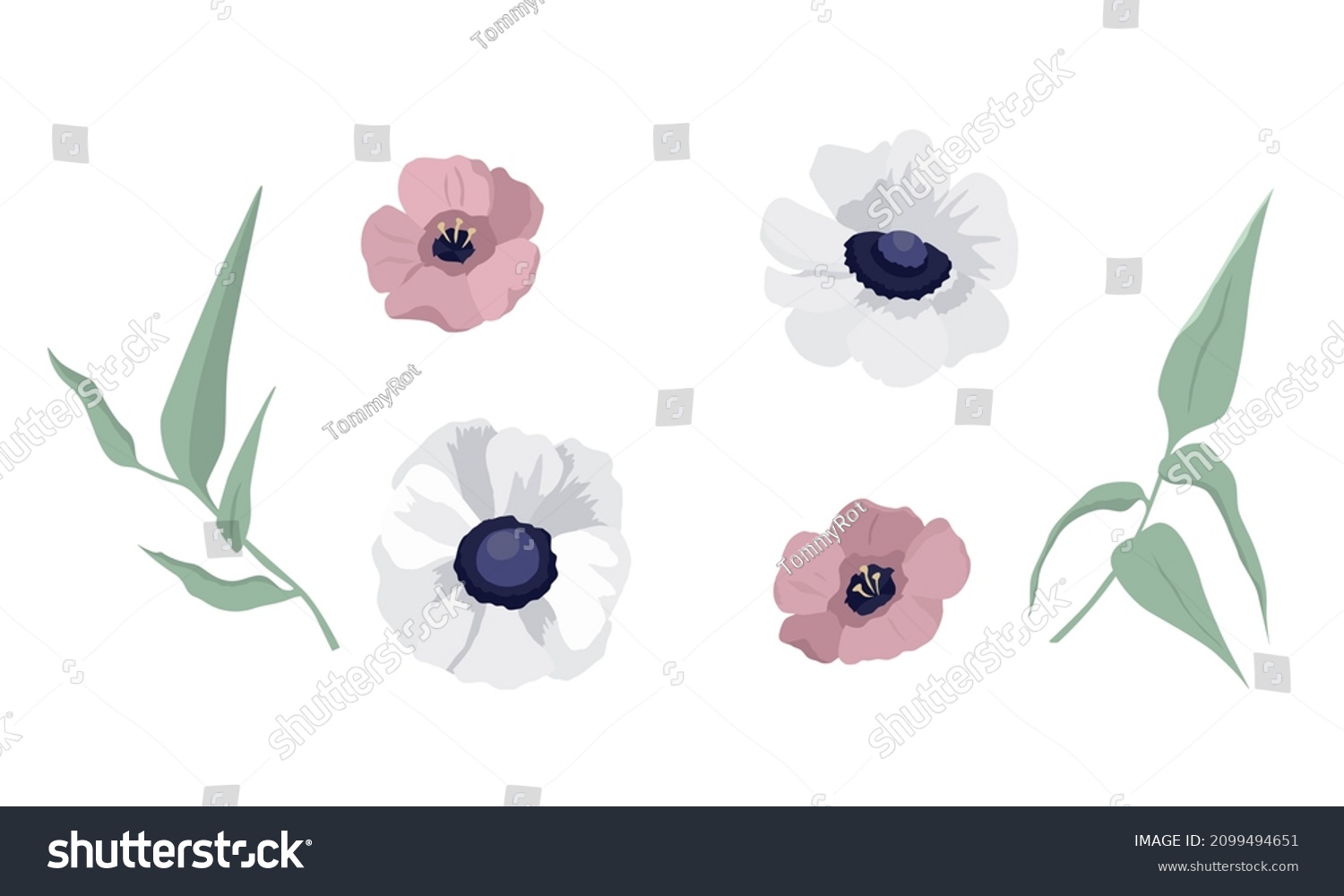 Vector Wind Flowers Leaves Set Isolated Stock Vector (Royalty Free ...