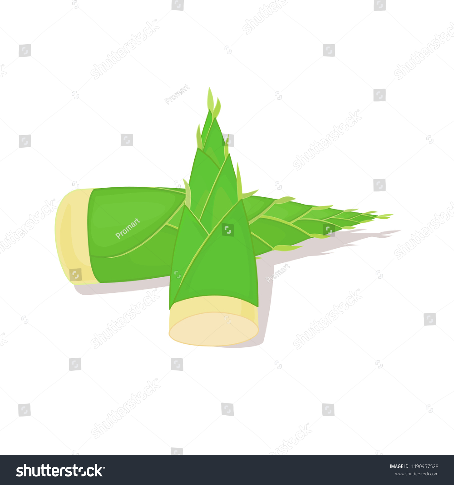 Vegetable Bamboo Shoots Plant Vector Stock Vector (Royalty Free ...