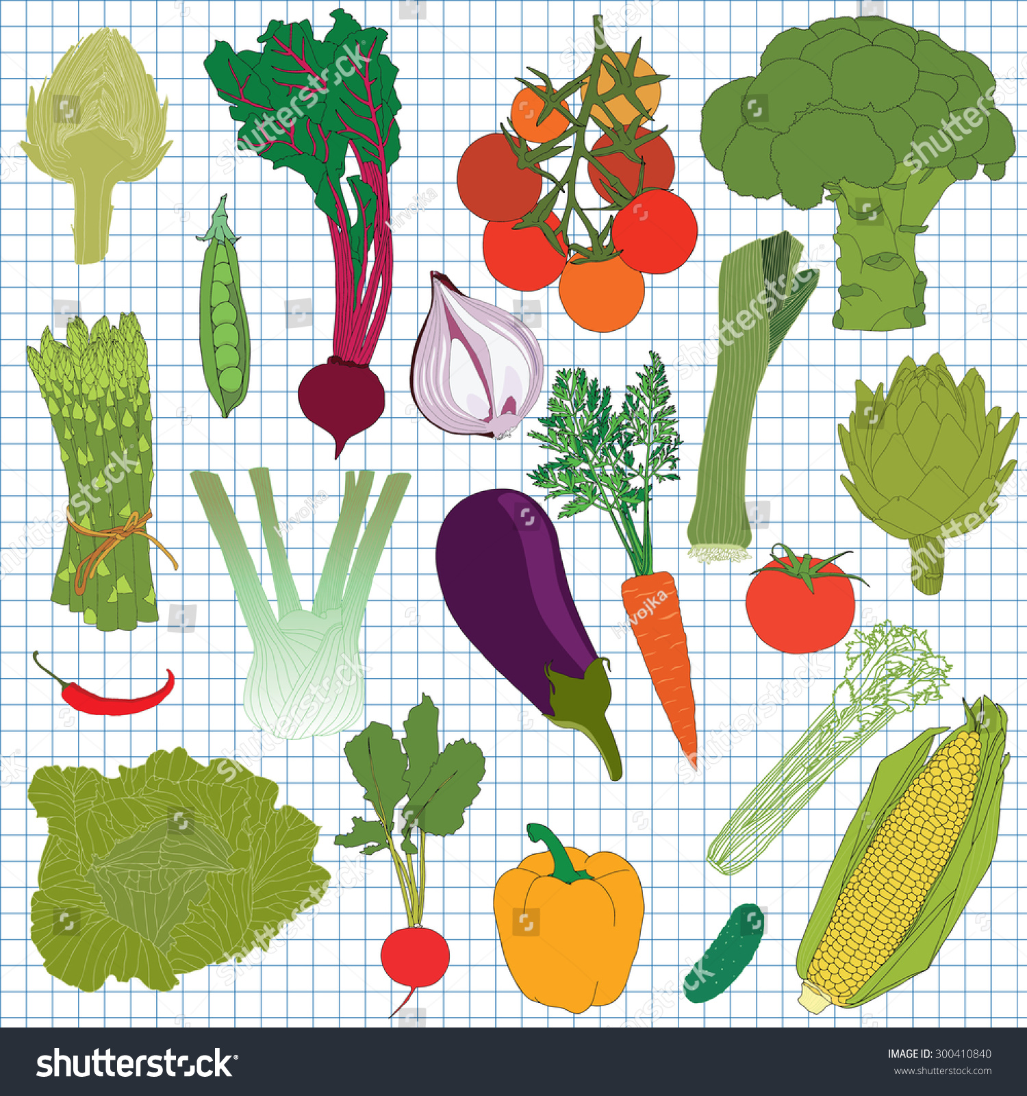 Vegetable Drawings On Note Paper Stock Vector (Royalty Free) 300410840