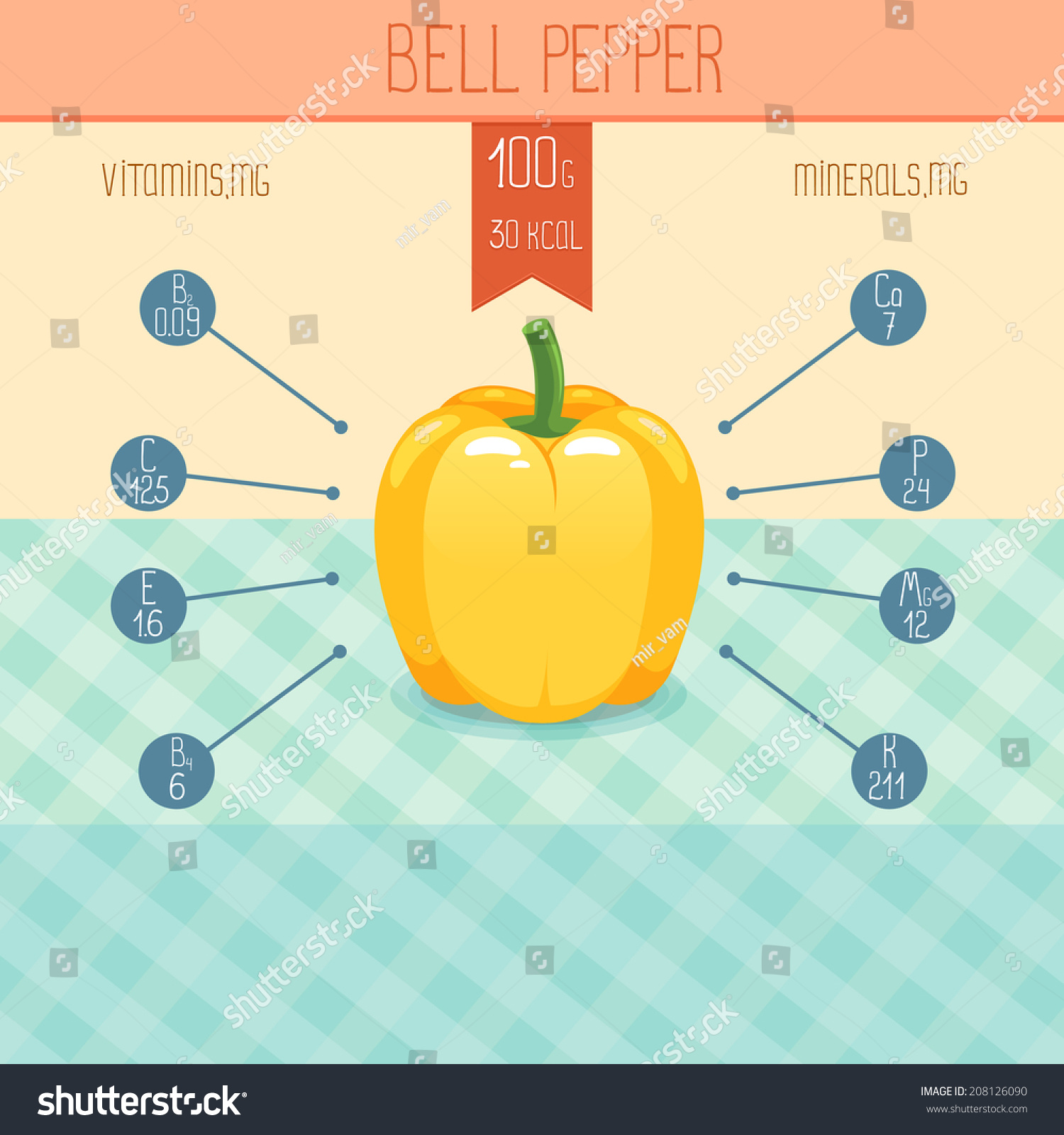 Vegetable Infographic Yellow Bell Pepper Stock Vector (Royalty Free ...