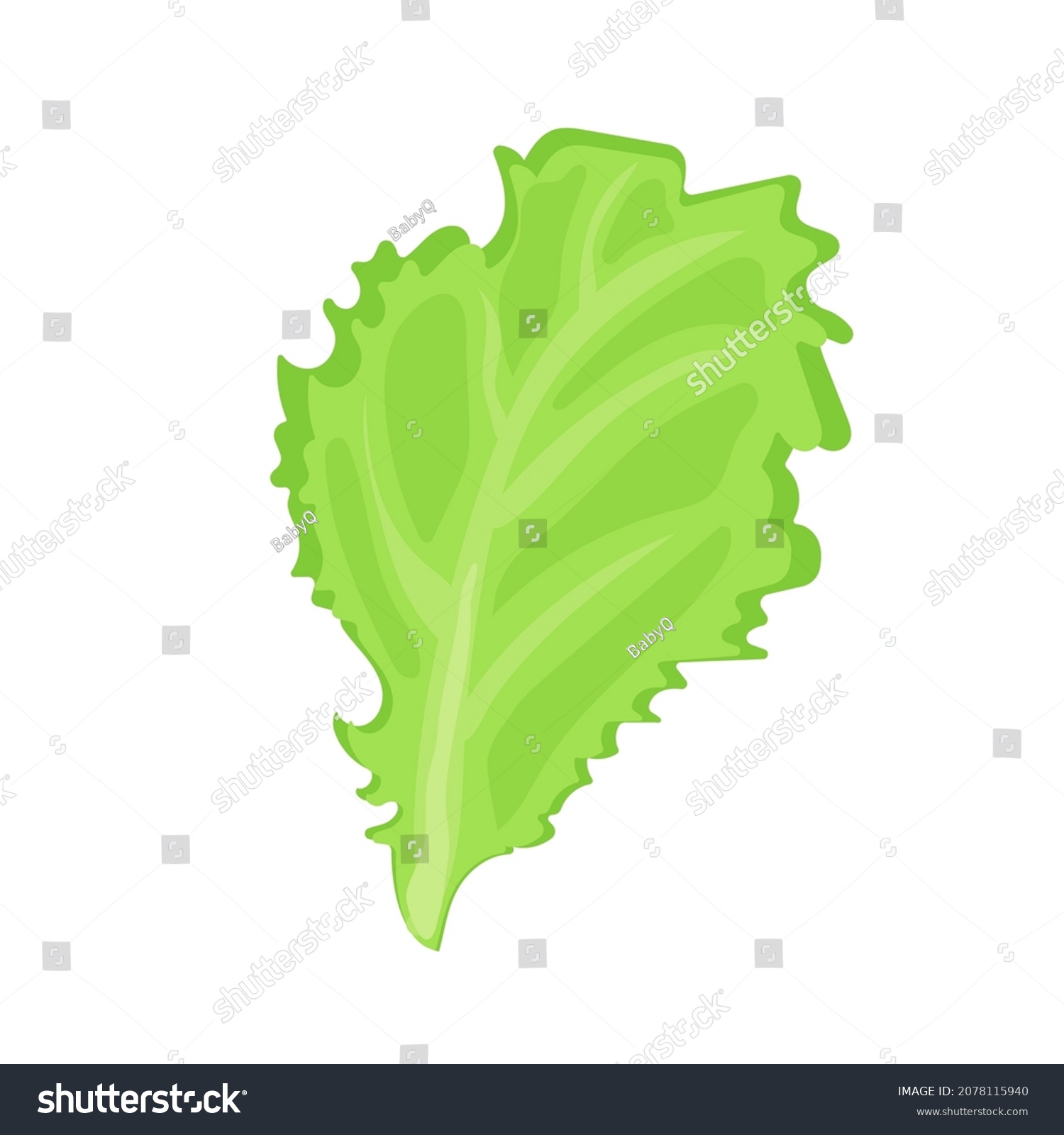 Vegetable Salad Lettuce Leaf Cartoon Vector Stock Vector (Royalty Free) 2078115940