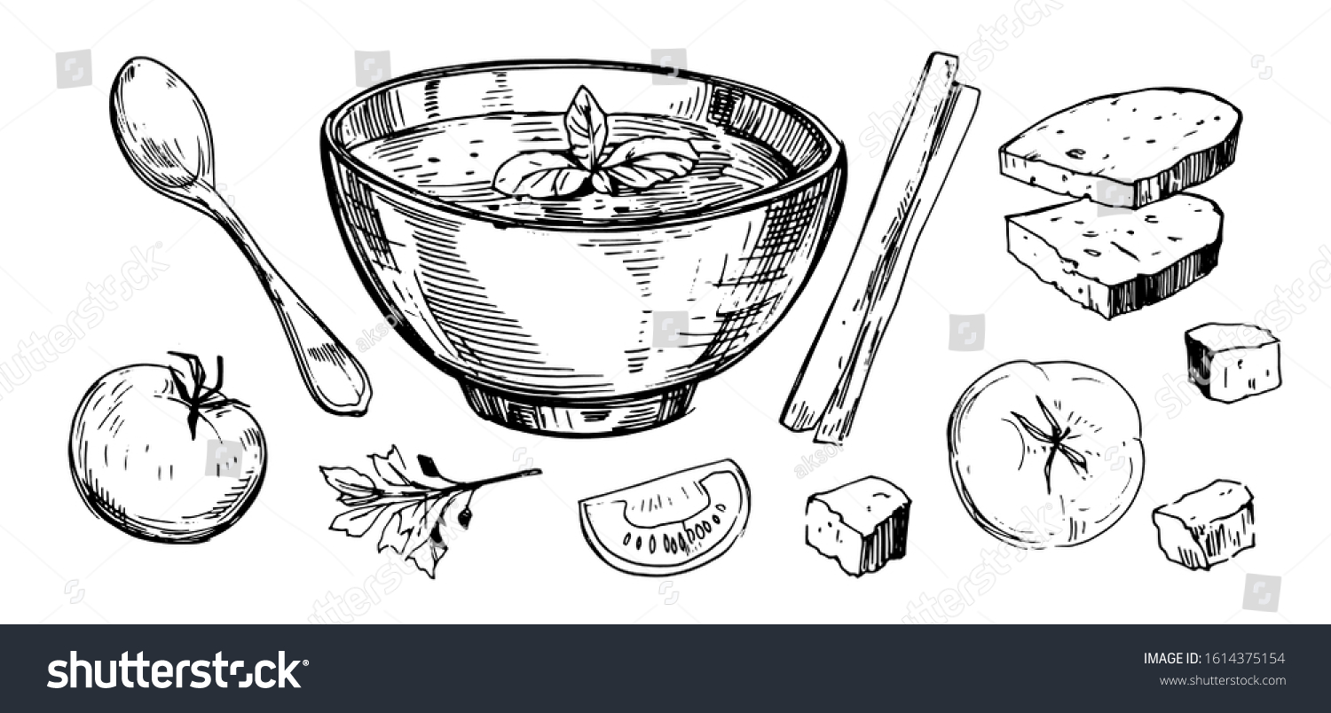 Vegetable Soup Hand Drawn Illustration Converted Stock Vector (Royalty ...