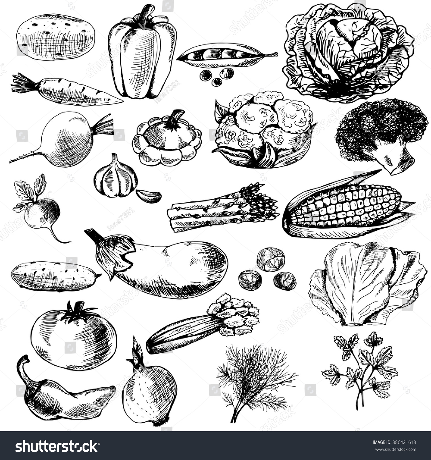 Vegetables Set Sketch Style Vector Illustration 스톡 벡터 386421613 ...
