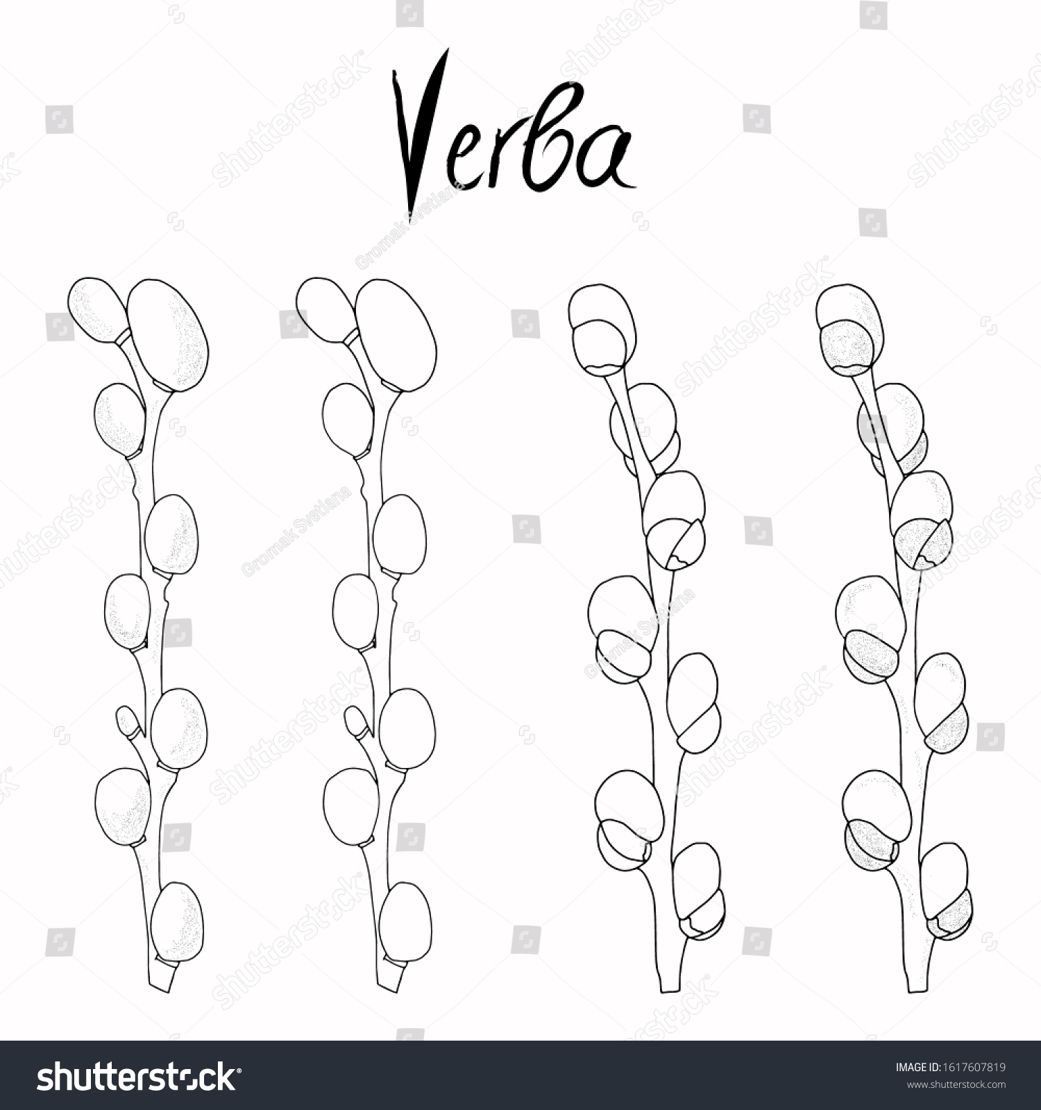 Verba Branch Hand Drawn Easter Symbol Stock Vector (Royalty Free ... Verba Branch Hand Drawn Easter Symbol Stock Vector (Royalty Free ...