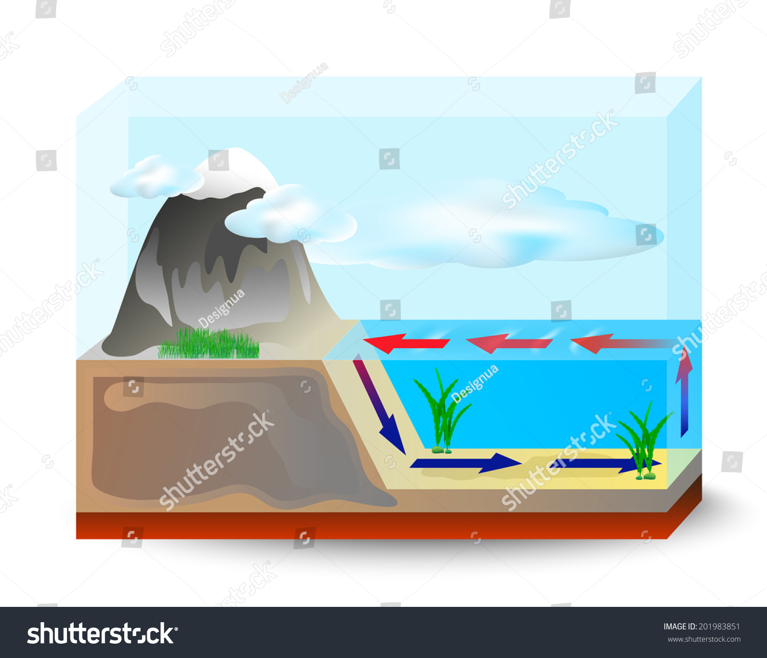 Vertical Ocean Currents Cold Warm Sinking Stock Vector (Royalty Free ...