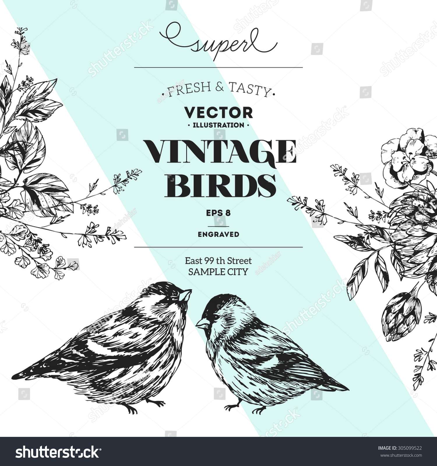 Vintage Bird Design Template Vector Illustration Stock Vector (Royalty ...