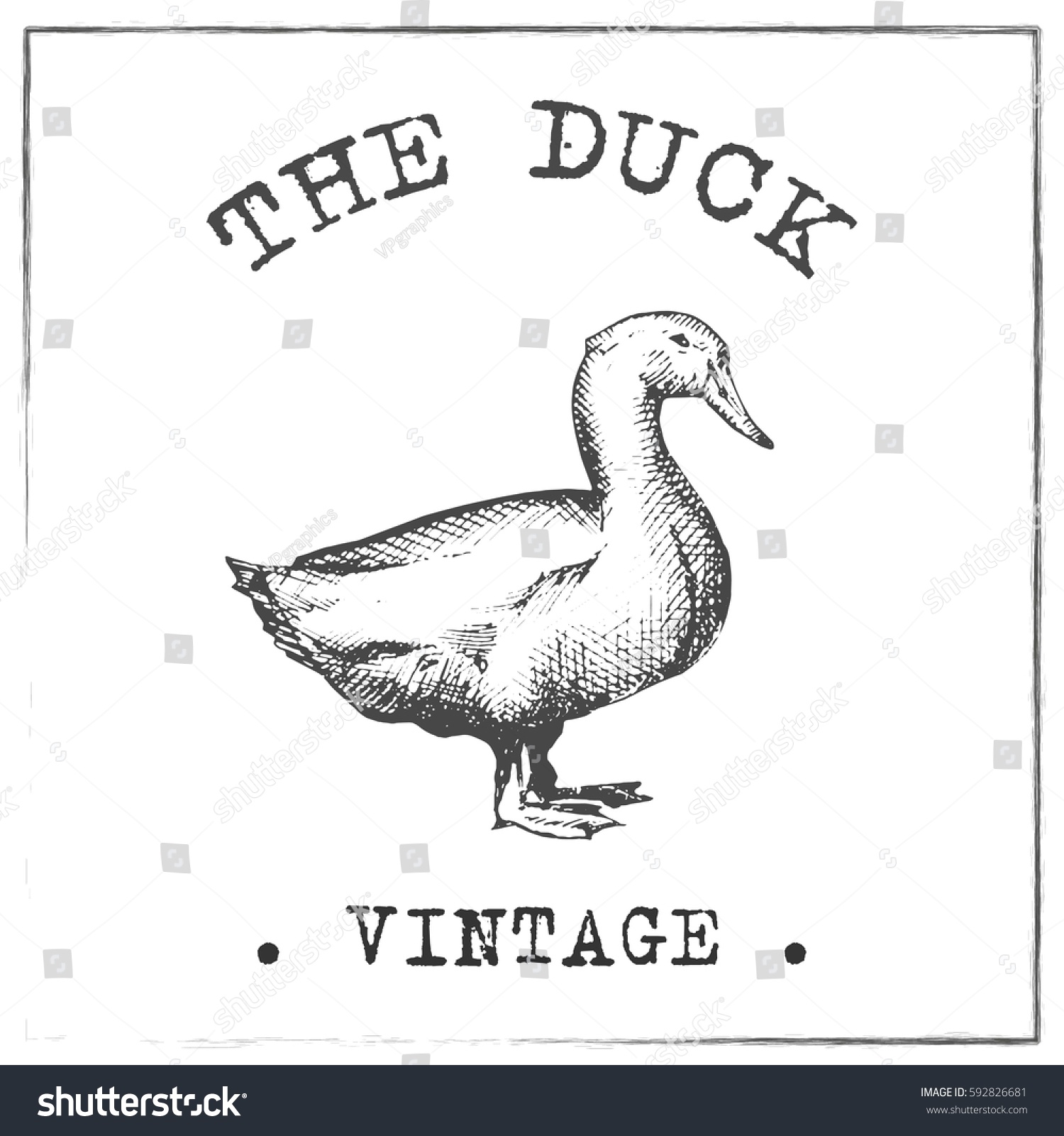 Vintage Bird Vector Stock Vector (Royalty Free) 592826681 | Shutterstock