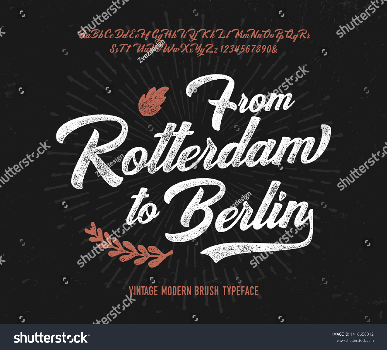 Vintage Brush Script Modern Font Retro Stock Vector (Royalty Free ...