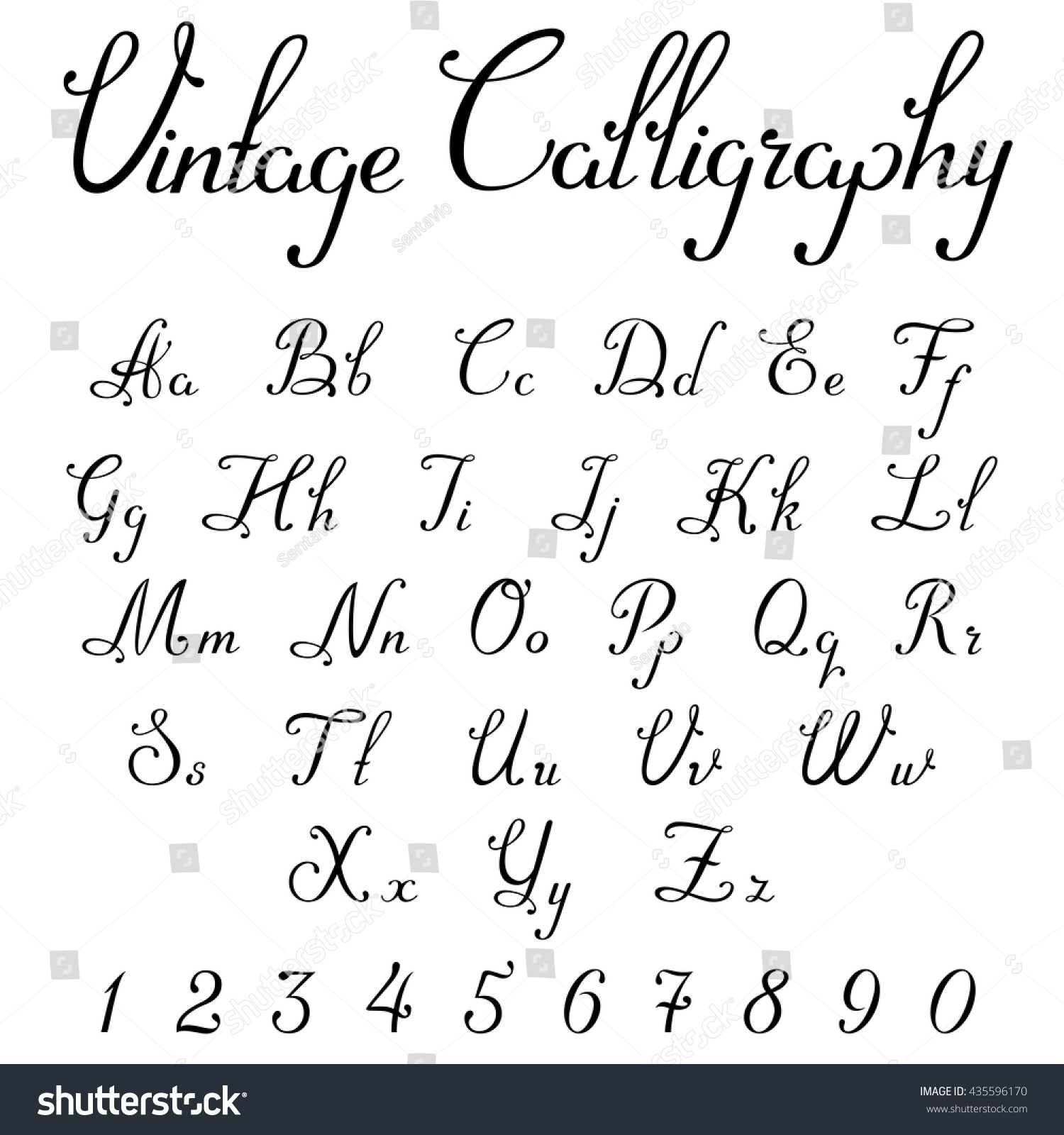 Vintage Calligraphic Script Font Linear Vector Stock Vector (Royalty ...