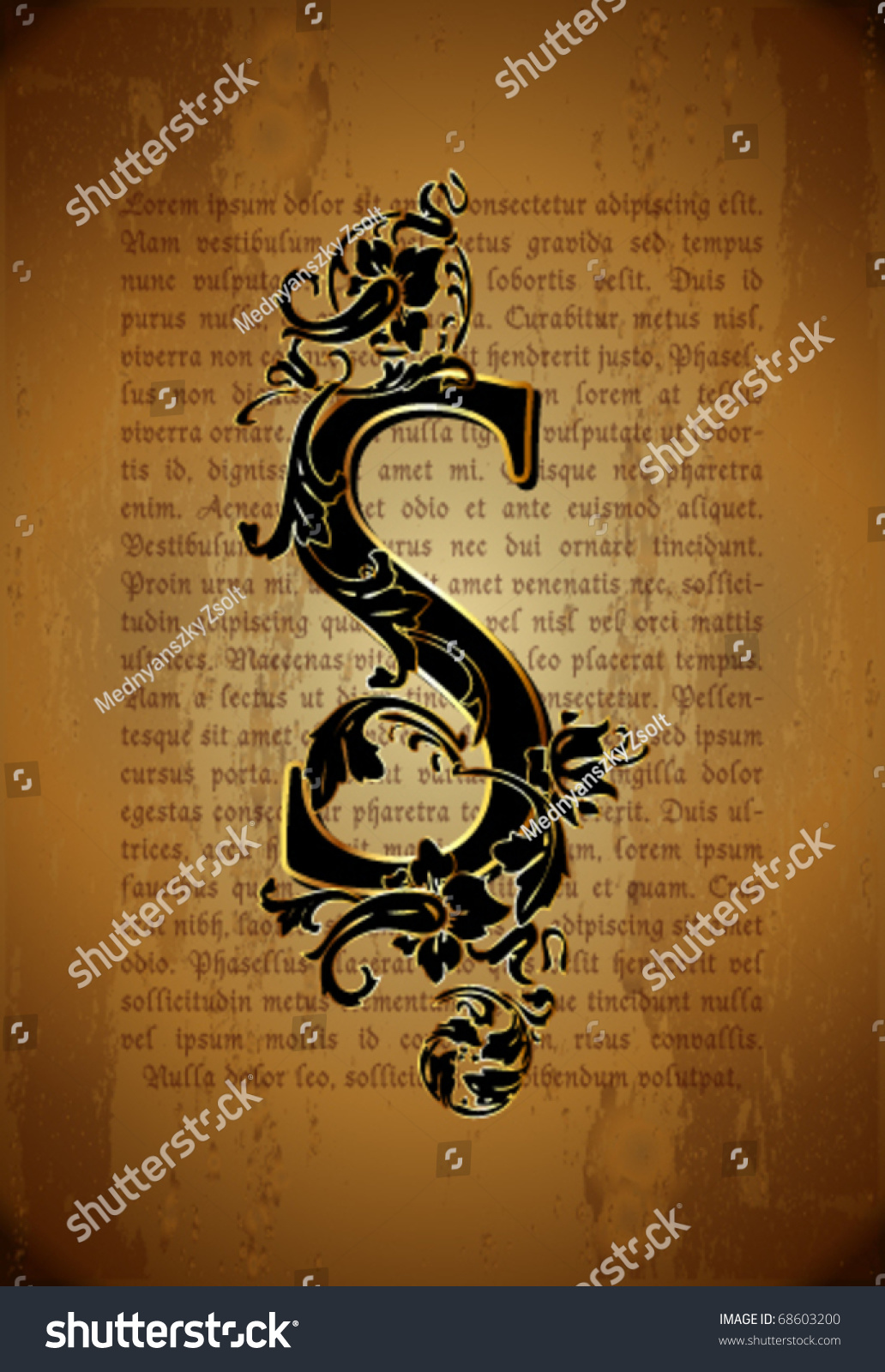 Vintage Initial Letter S Stock Vector (Royalty Free) 68603200 ...