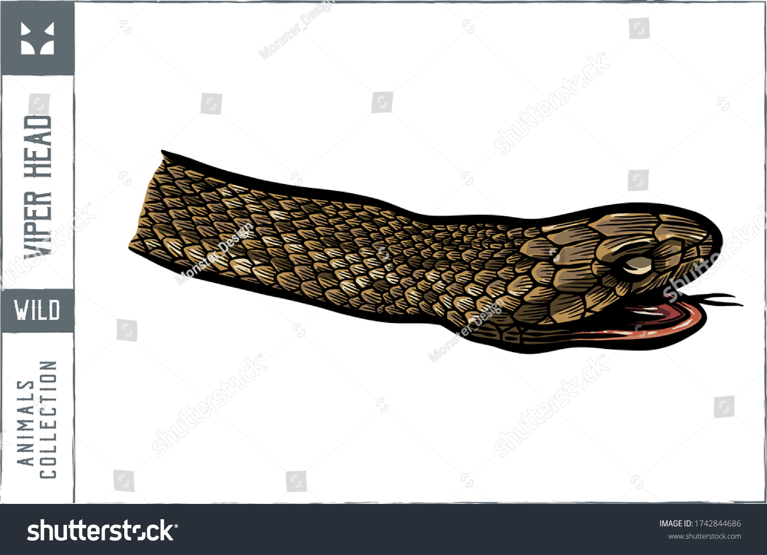 Viper Head Vector Illustration Hand Drawn Stock Vector (Royalty Free ...