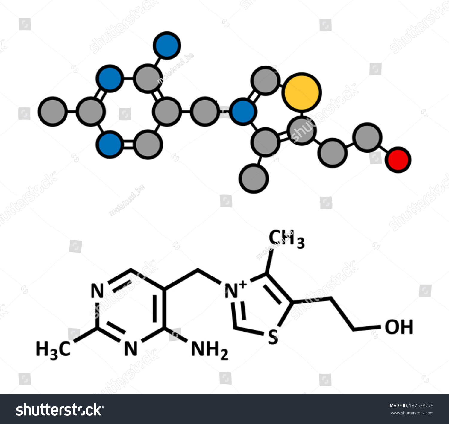 Vitamin B1 Thiamine Molecule Stylized 2d Stock Vector (Royalty Free ... Vitamin B1 Thiamine Molecule Stylized 2d Stock Vector (Royalty Free ...