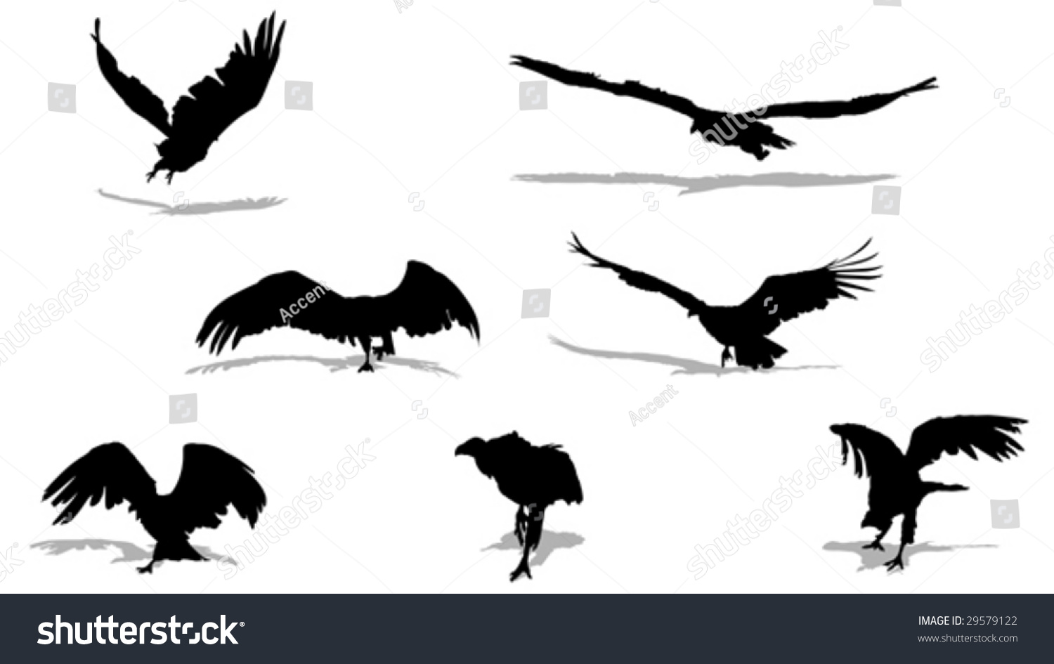 Vulture Taking Off Stock Vector (Royalty Free) 29579122